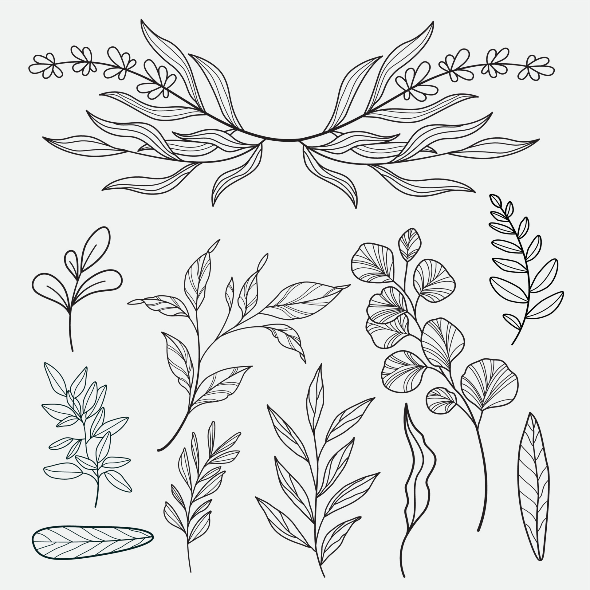 Foliage Line Art Drawing With Abstract Shape Abstract Plant Art Design foliage-line-art-drawing-with-abstract-shape-abstract-plant-art-design