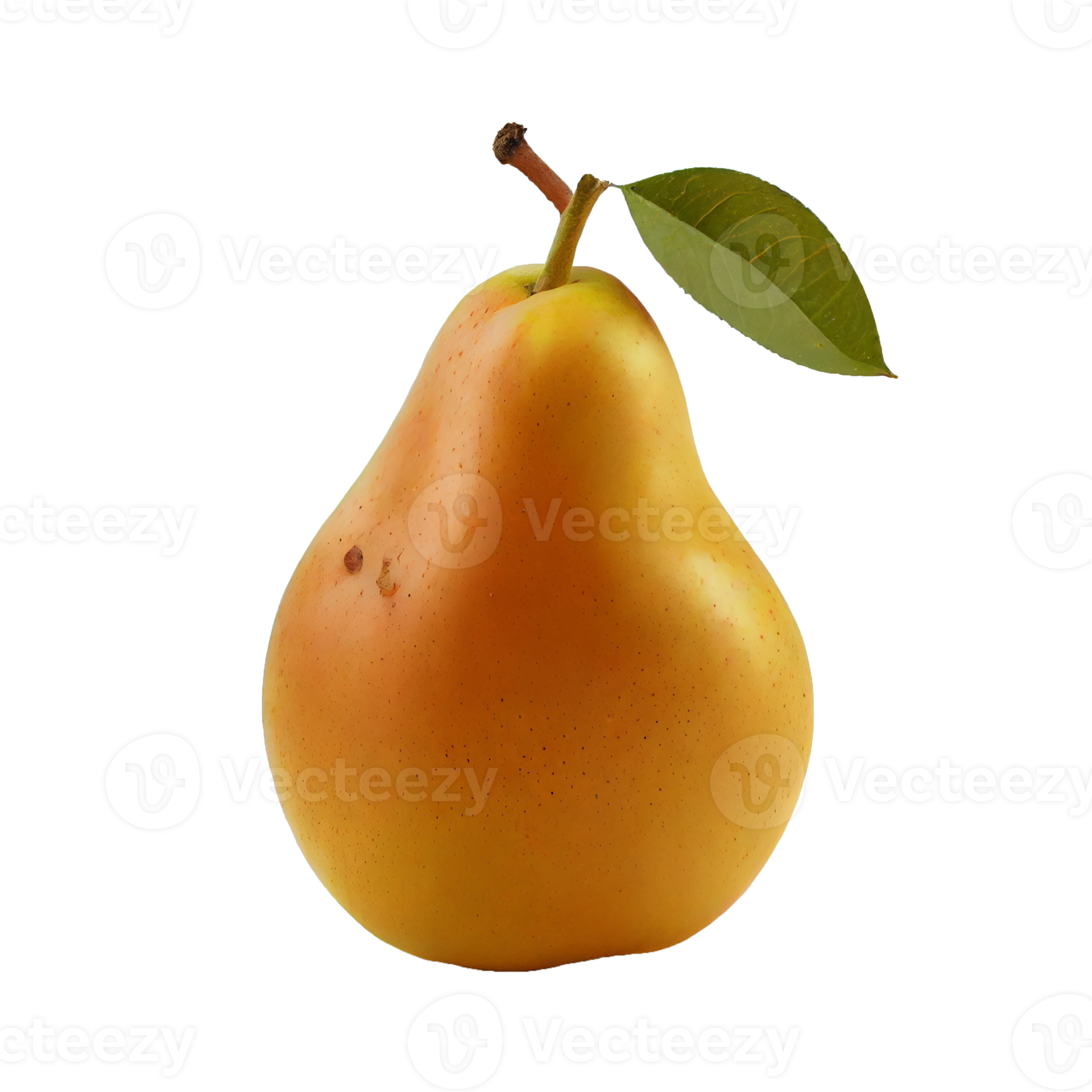 Pear fruit png, Pear on transparent background 22825626 PNG