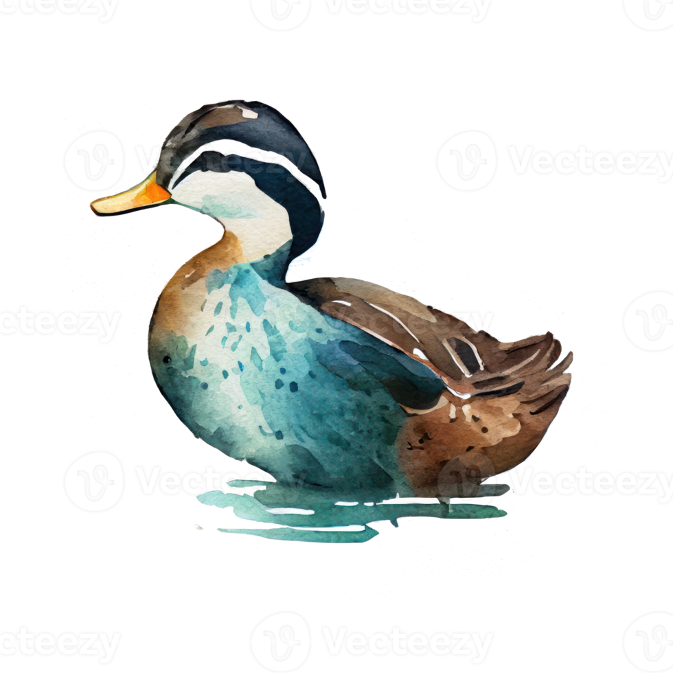 Watercolor Duck . AI Generated 22881336 PNG Watercolor Duck . AI Generated 22881336 PNG