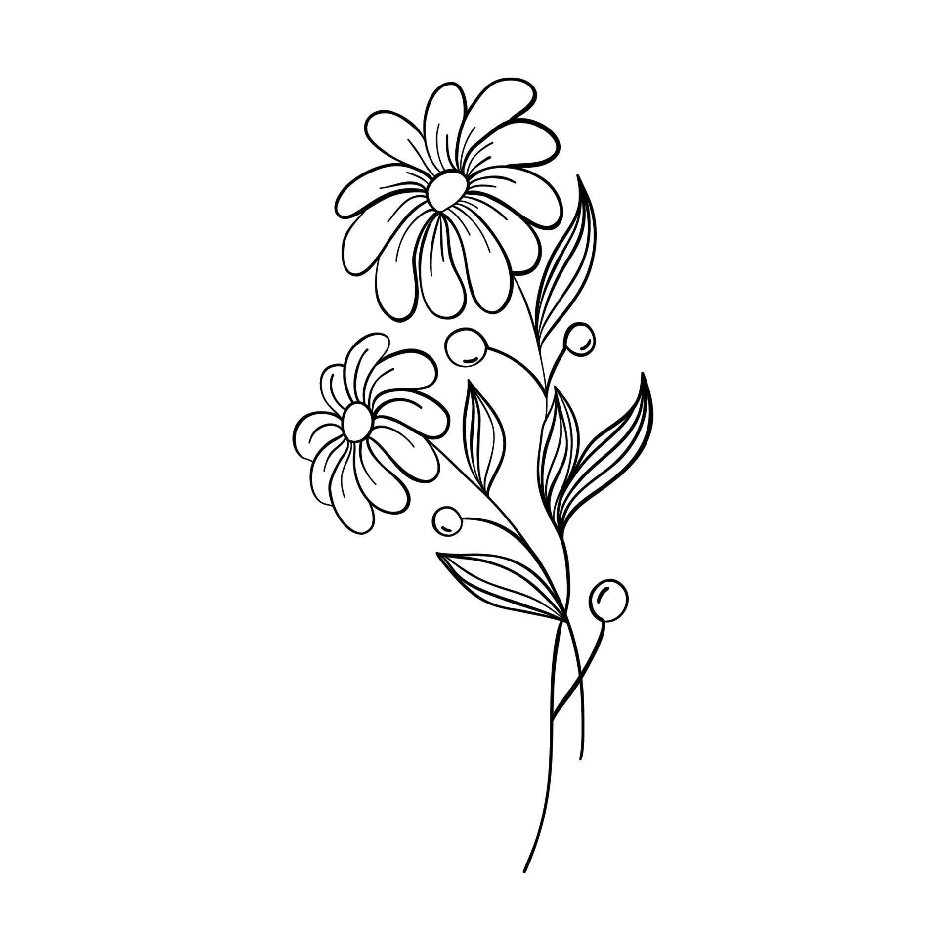 Vector illustration isolated on white background. Black lines flowers ...