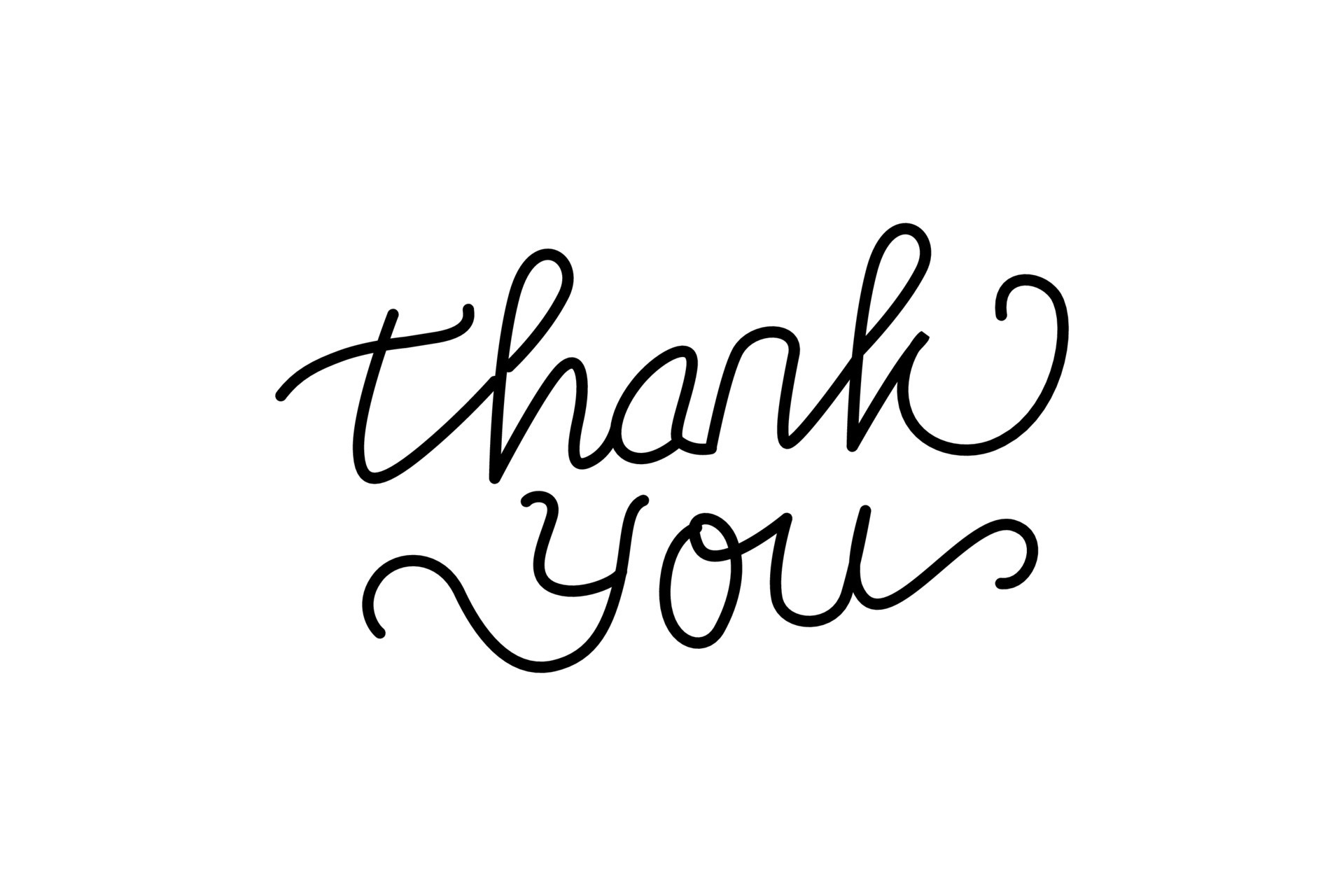 Thank You Handwritten Vector Art Hand Drawn Lettering Thank You