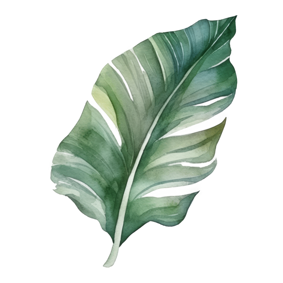 Tropical palm leaf watercolor. 22917719 PNG Tropical palm leaf watercolor. 22917719 PNG
