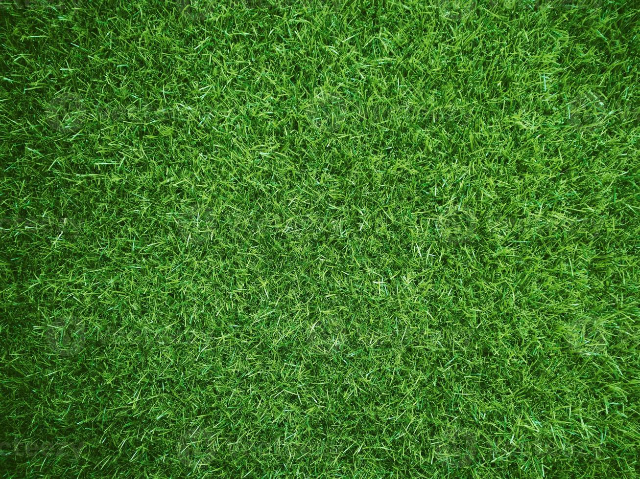 Green Grass Texture Background Grass Garden Concept Used For Making Green Background Football