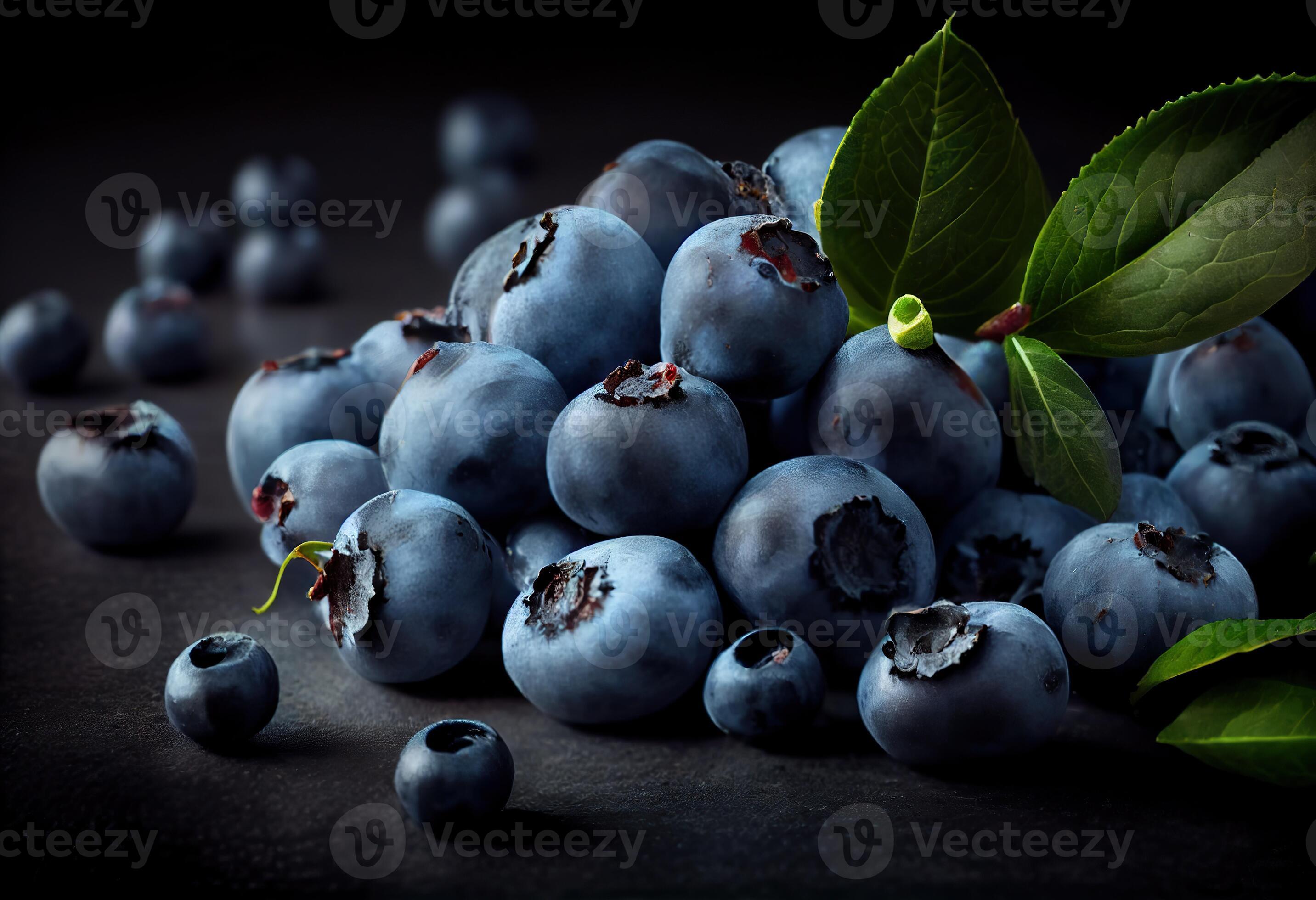 illustration of background of the fresh blueberries, copy space ...