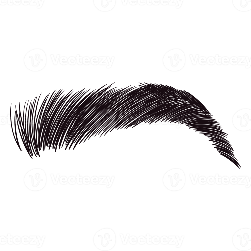 Black Fluffy Eyebrow 22924744 Png