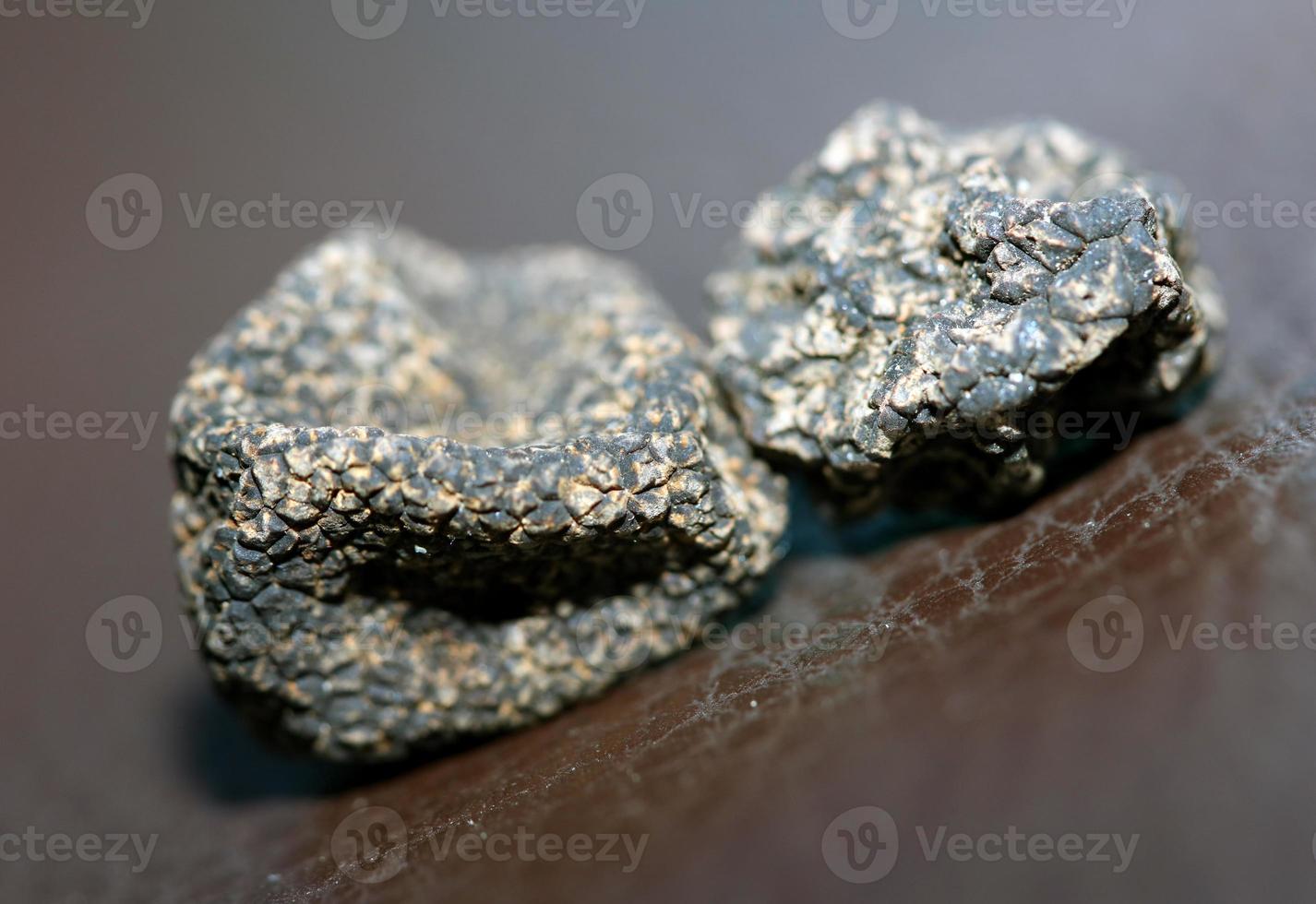 Wild Fresh Black Winter Truffle Mushrooms Close Up Background Big Size Tuber Instant Print