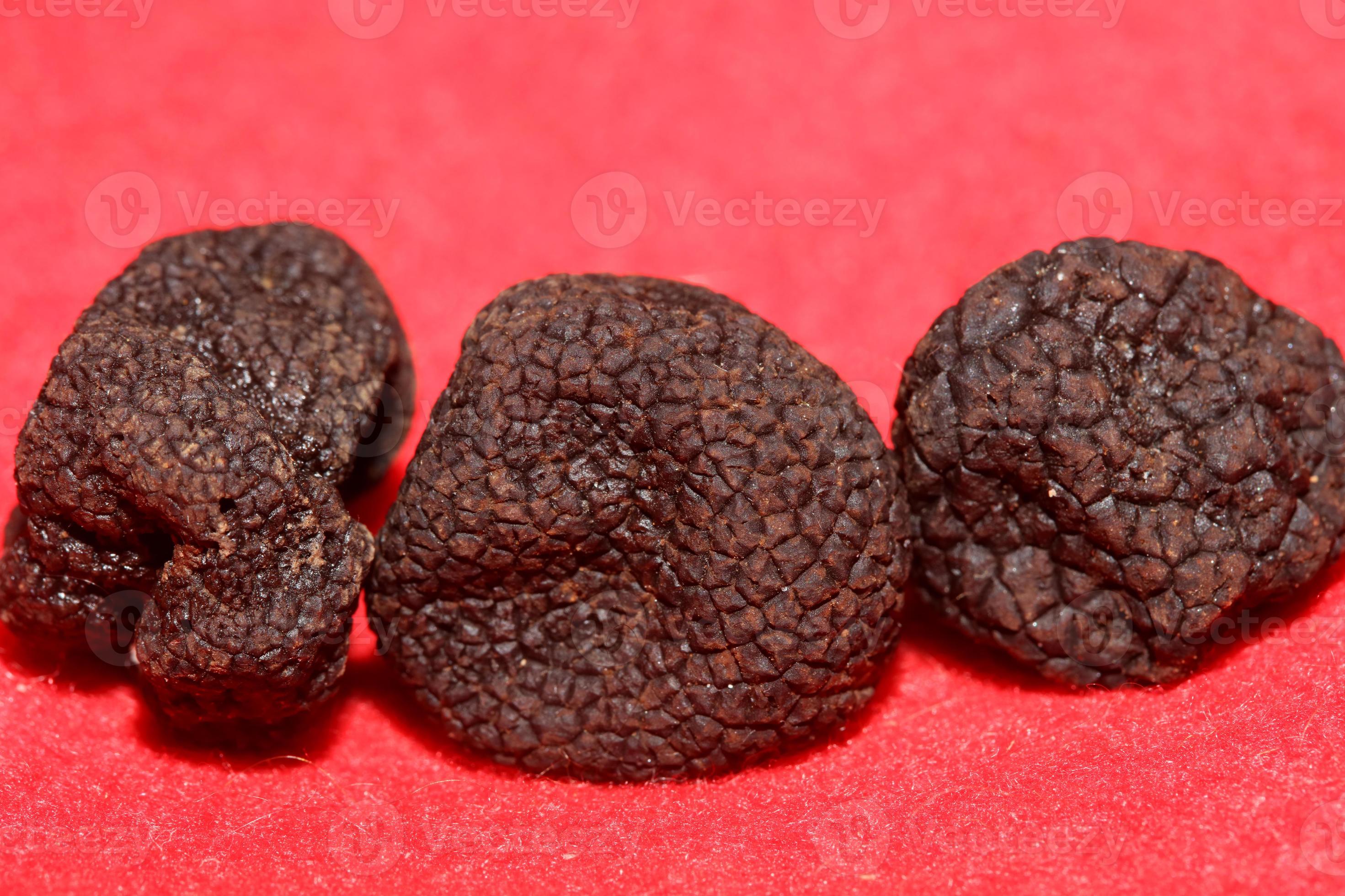 Black Winter Italian Truffle Mushroom Macro Background Big Size Tuber Aestivum Instant Print