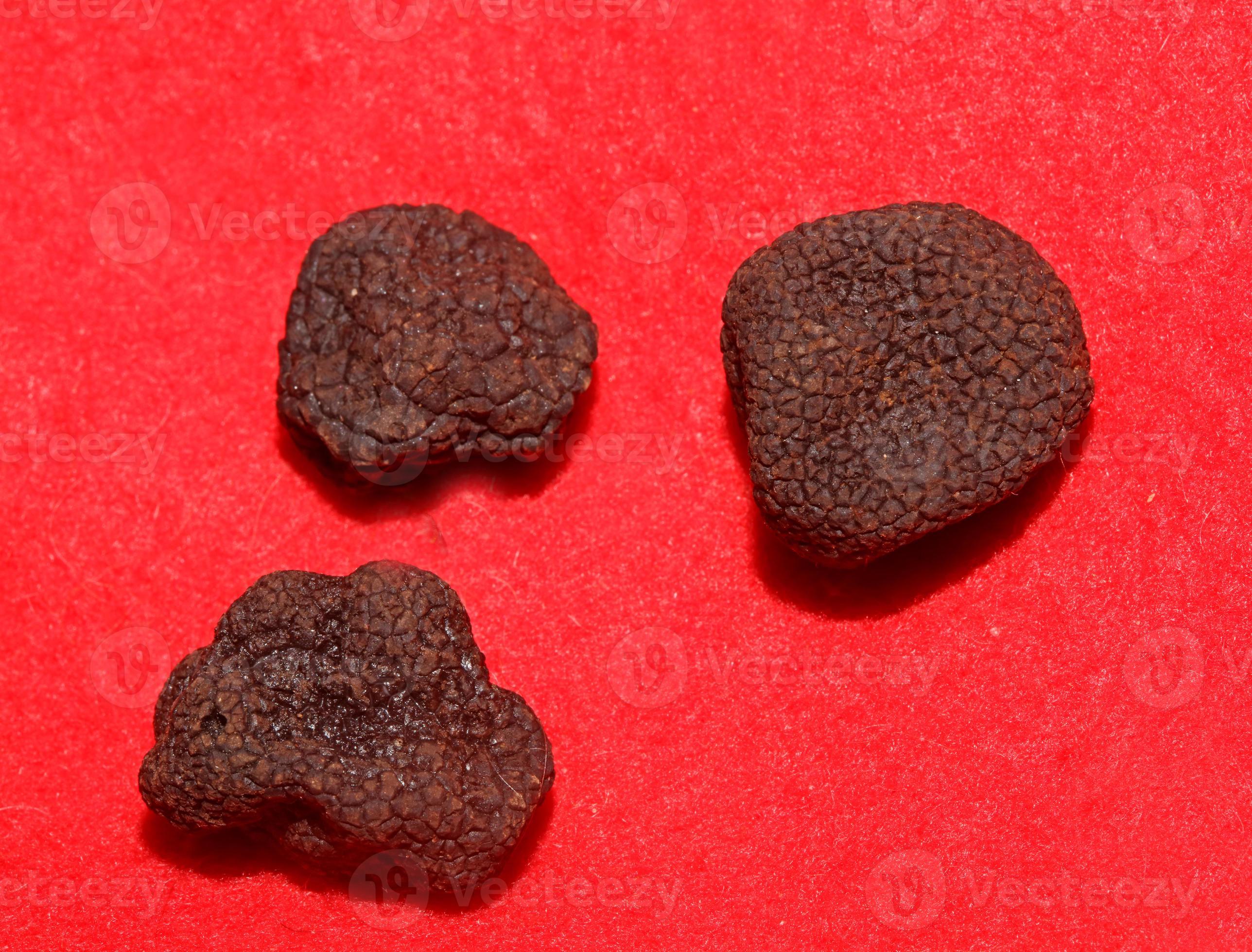 Black Winter Italian Truffle Mushroom Macro Background Big Size Tuber Aestivum Instant Print