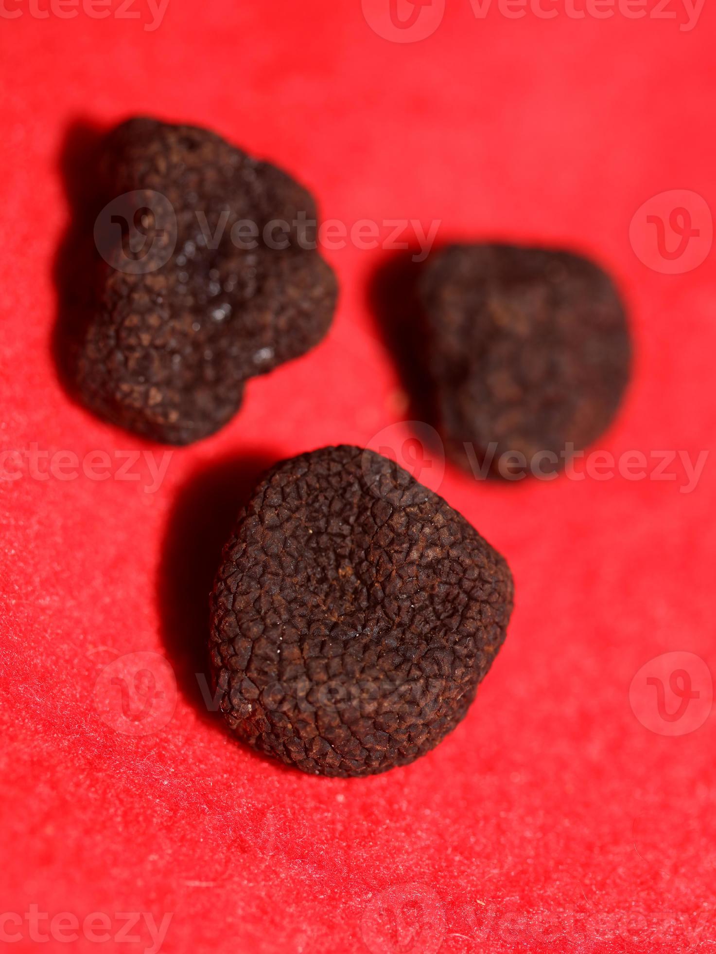 Black Winter Italian Truffle Mushroom Macro Background Big Size Tuber Aestivum Instant Print