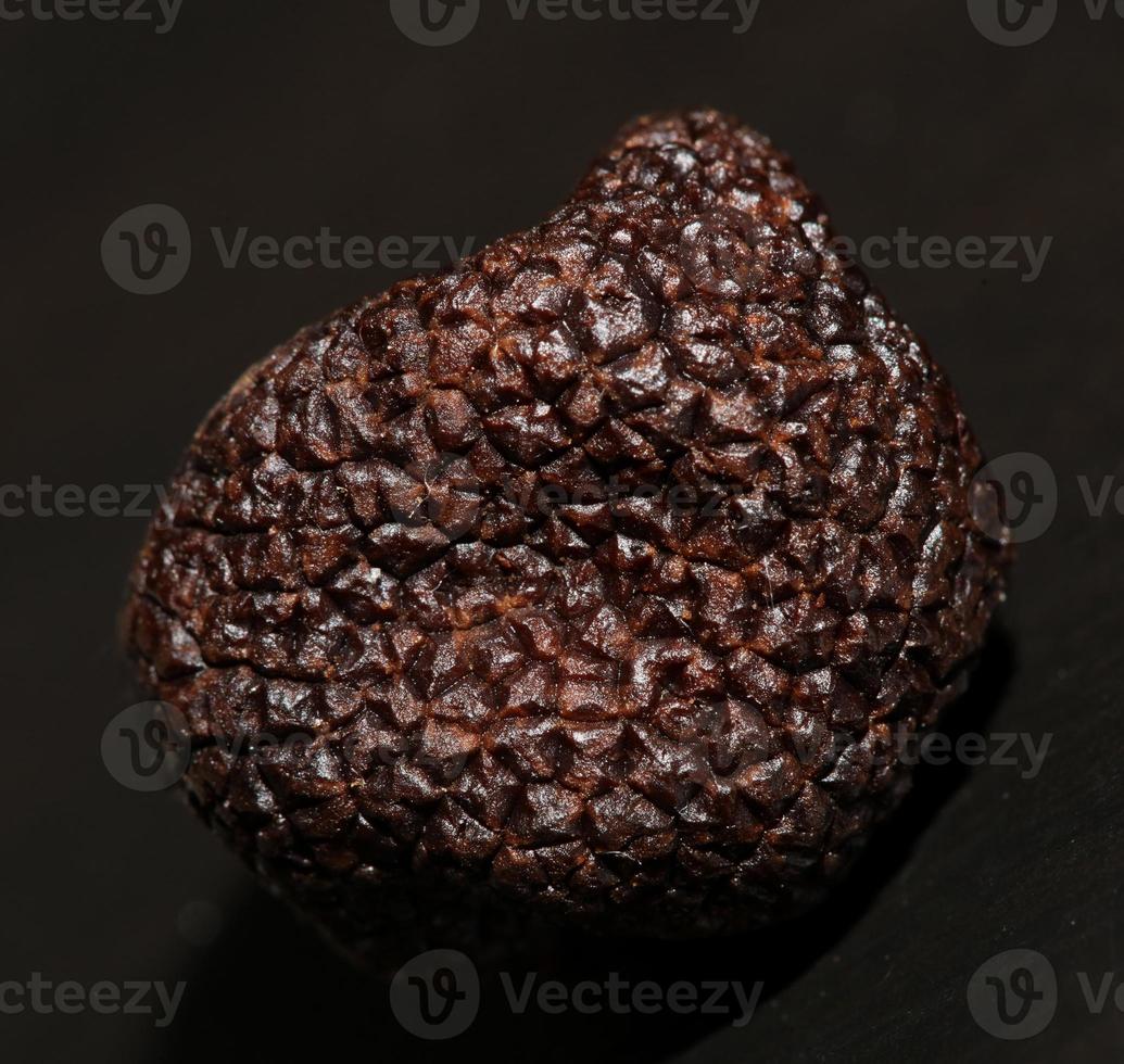Black Winter Italian Truffle Mushroom Macro Background Big Size Tuber Aestivum Instant Print