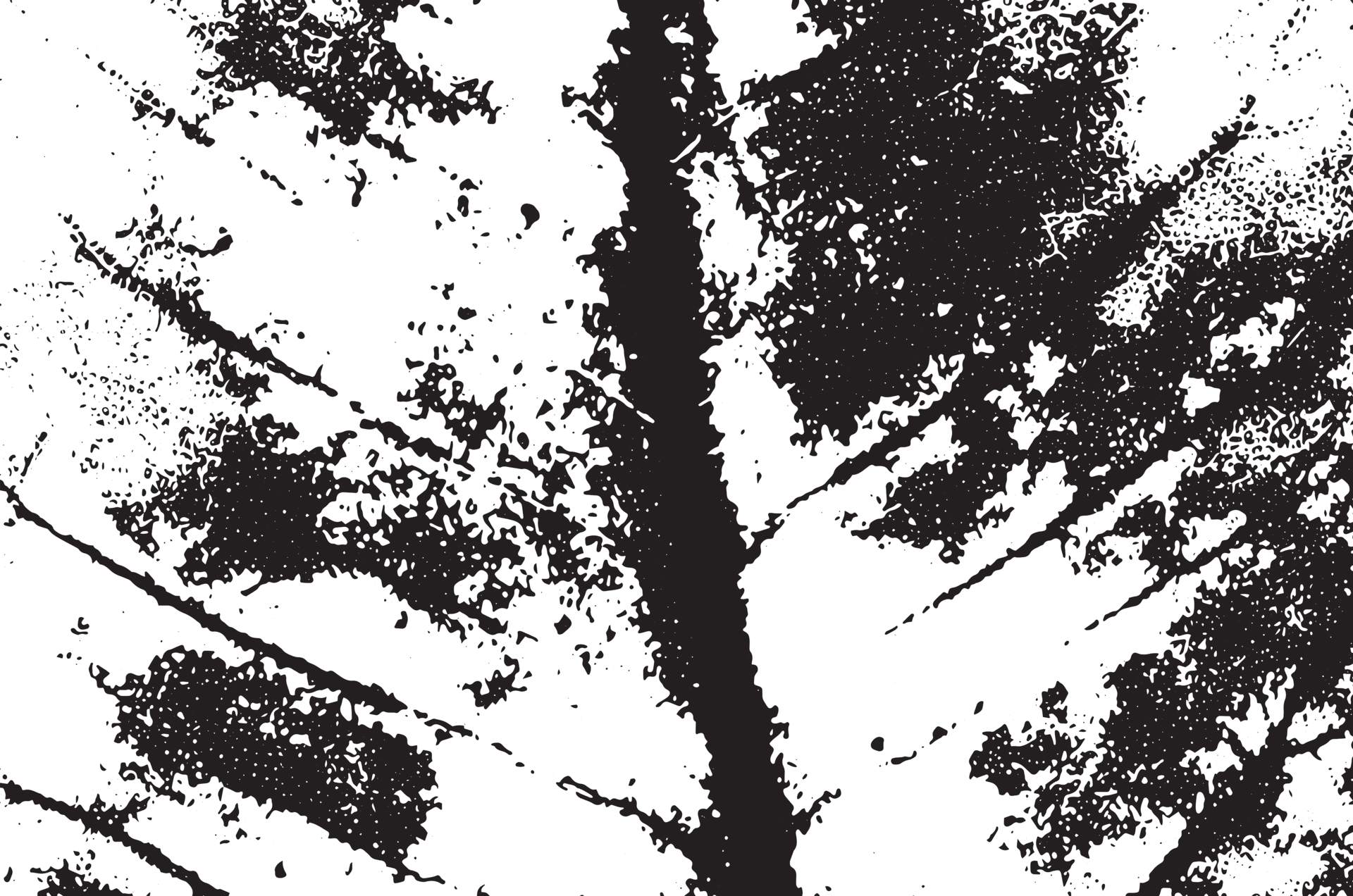 Free Rustic Grunge Texture With Grain And Stains Abstract Noise Free Rustic Grunge Texture With Grain And Stains Abstract Noise