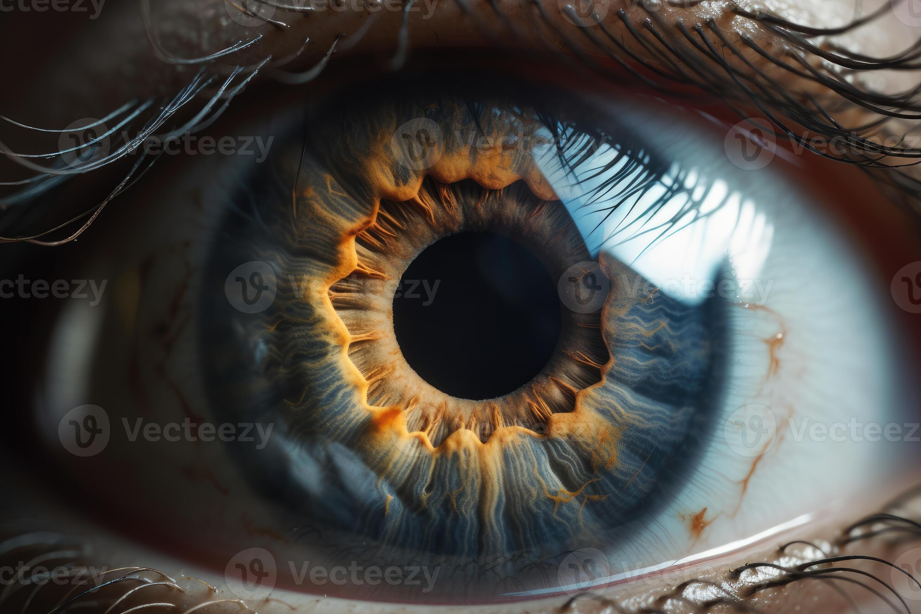 Captivating close up reveals intricate beauty of a woman's eye. 22959150 Stock Photo at Vecteezy
