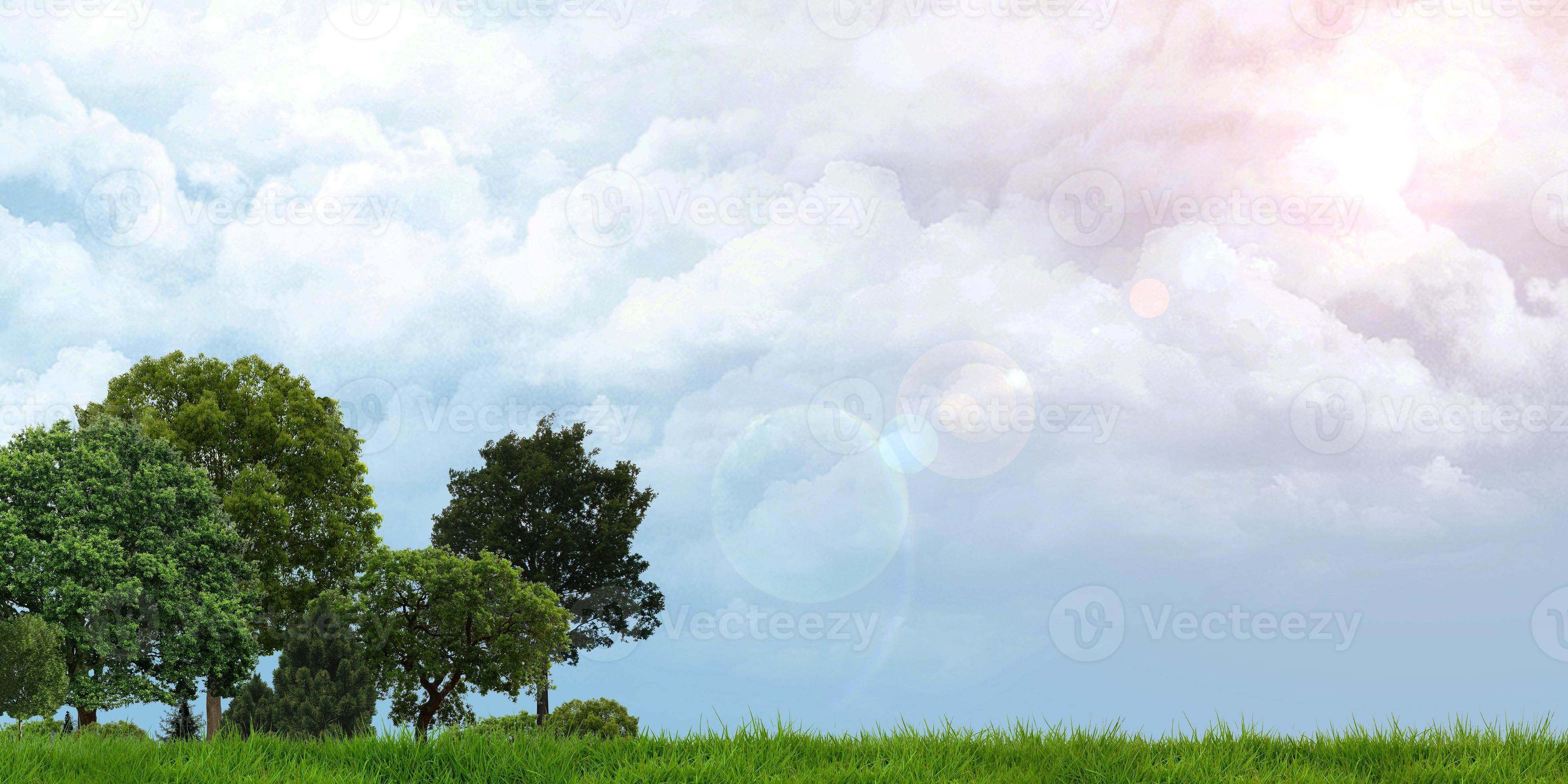Green fields and trees Cloudy sky the sun shines Panoramic view 3D ...
