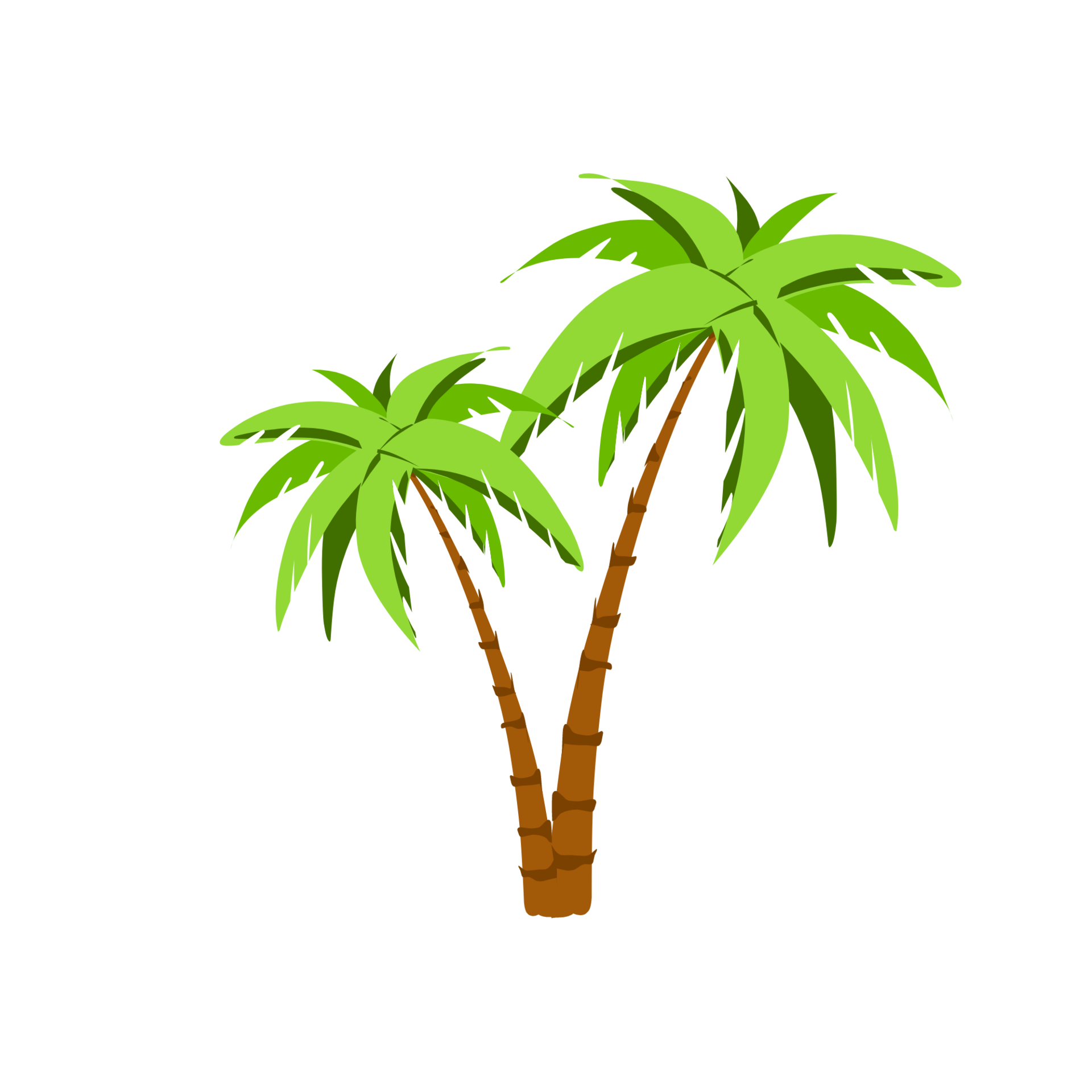 Palm tree clipart 22962273 PNG