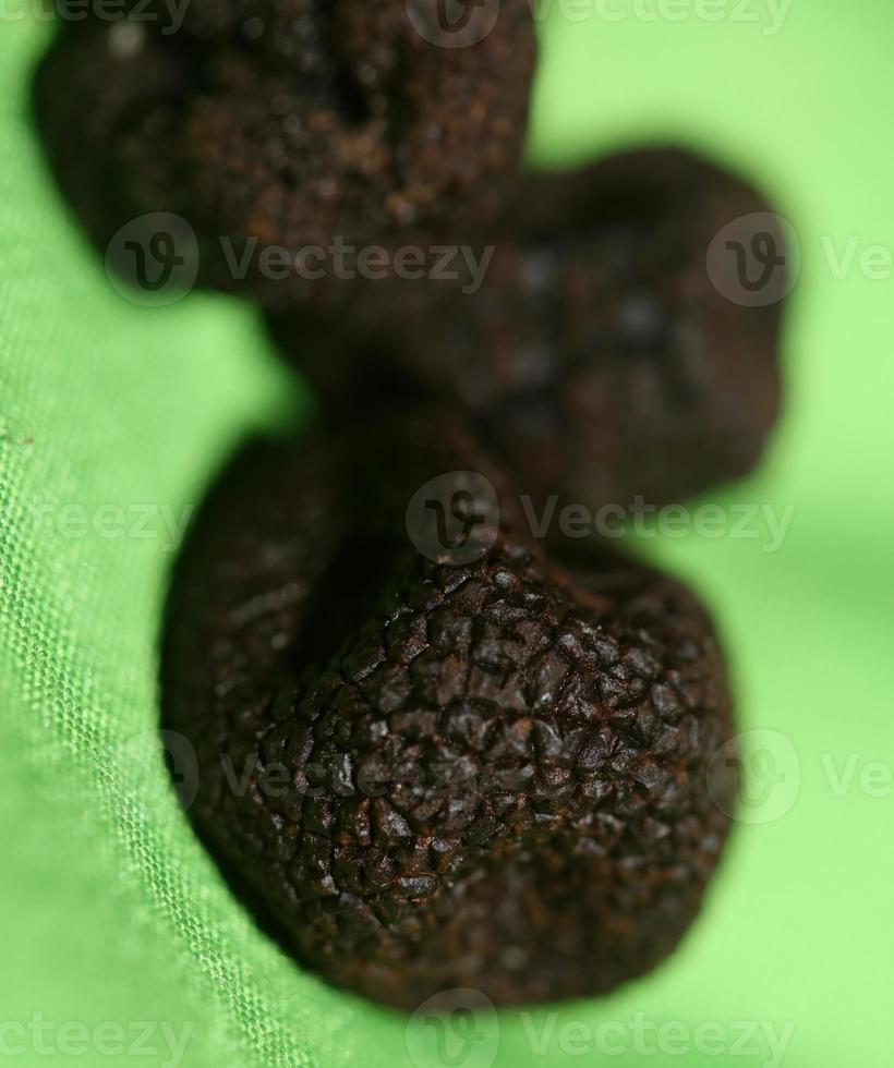 Black Winter Italian Truffle Mushroom Macro Background Big Size Tuber Aestivum Instant Print