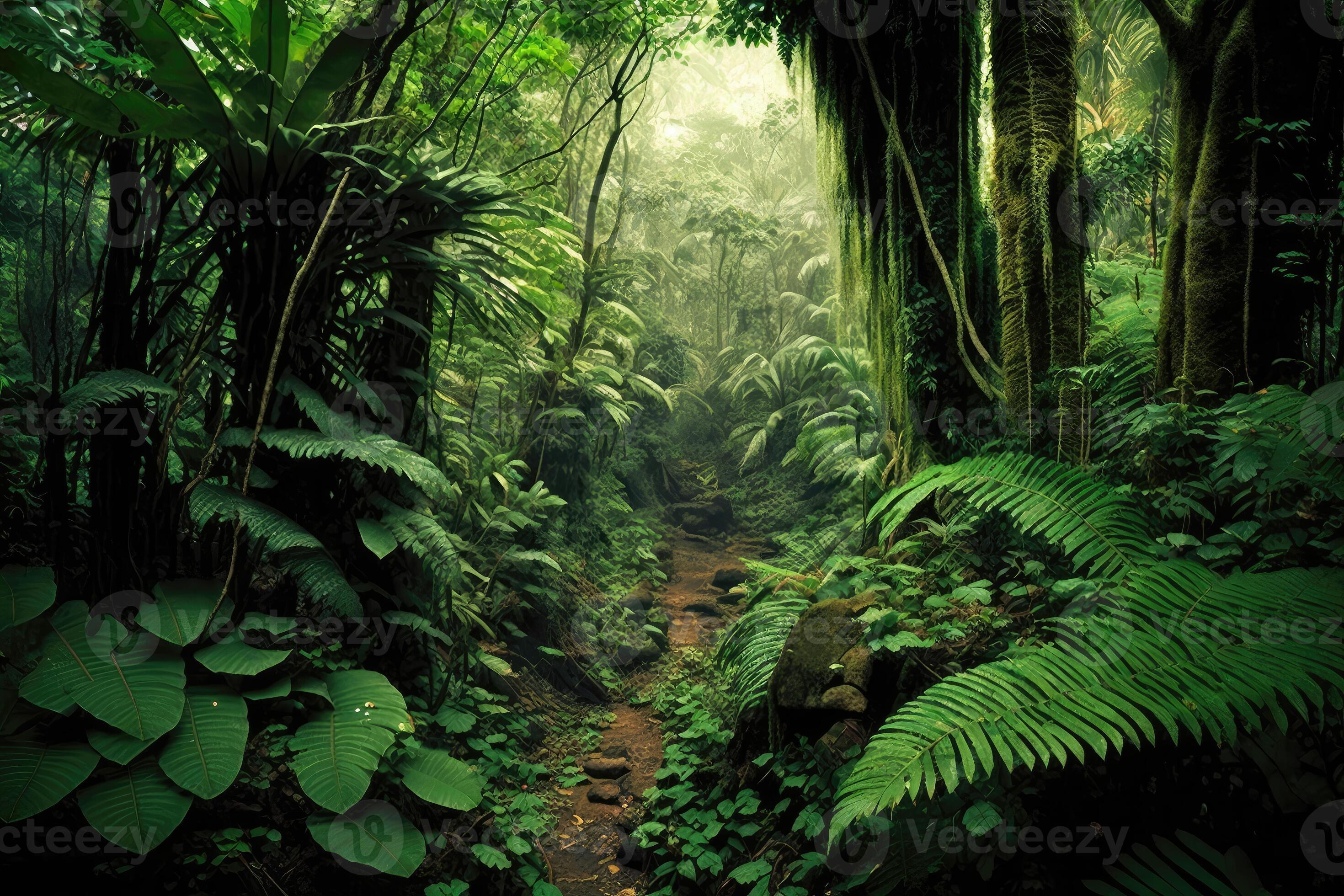 Dense rainforest with lush green foliage. 22980577 Stock Photo at Vecteezy