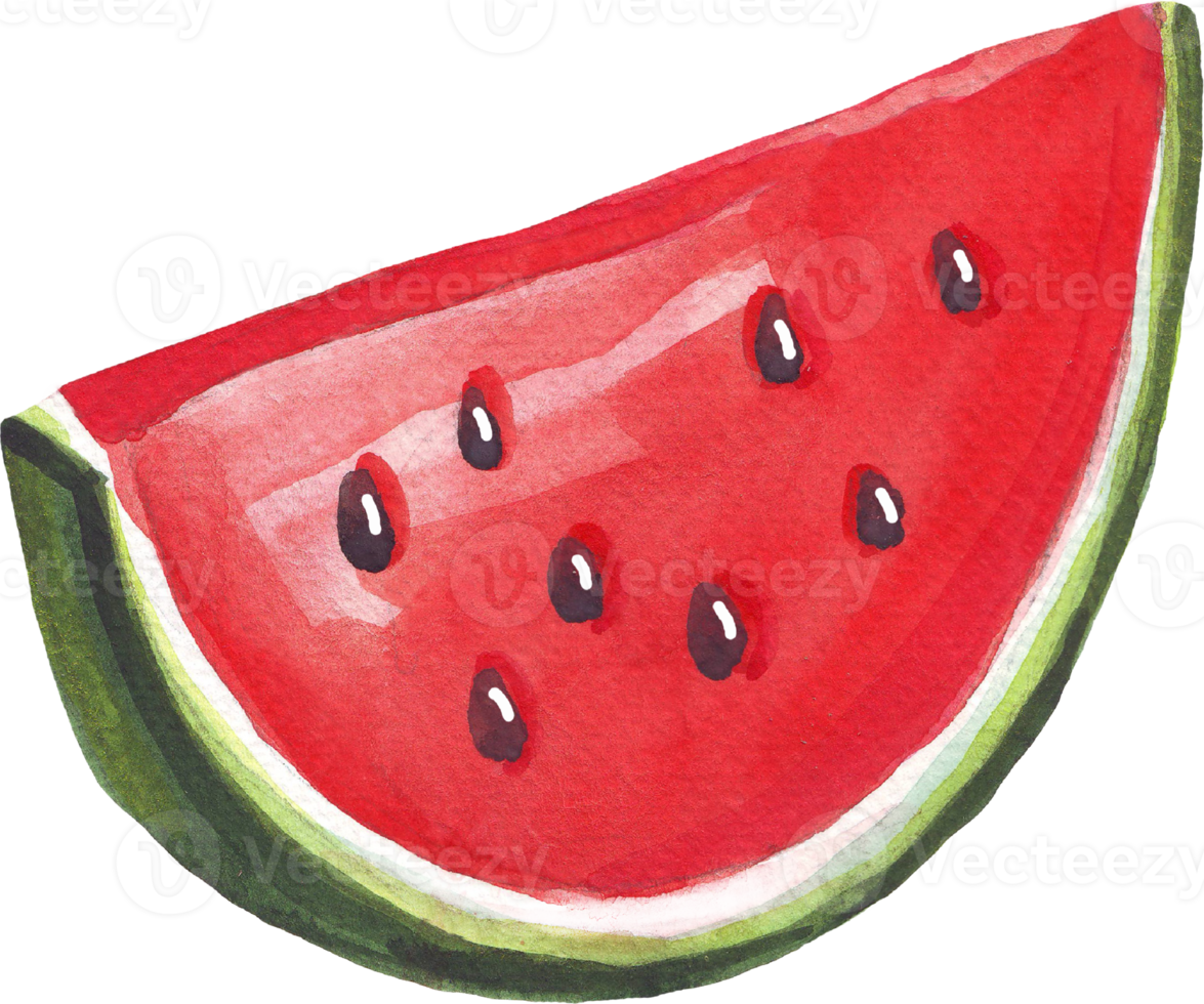 A Piece Of Watermelon Watercolor Illustration 22994613 Png