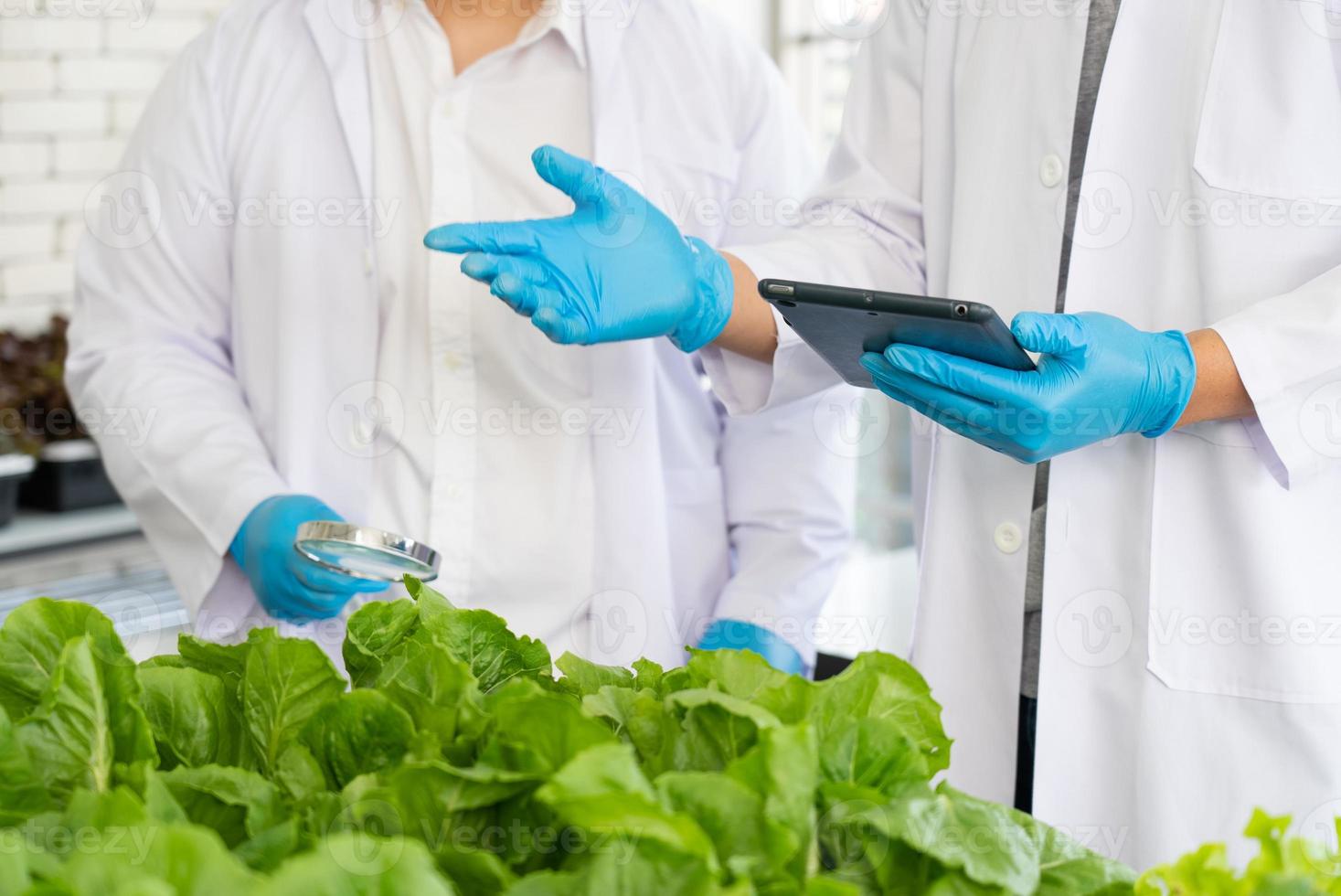 Scientist Team Doing Experiment In Agriculture Lab To Develope Genetic