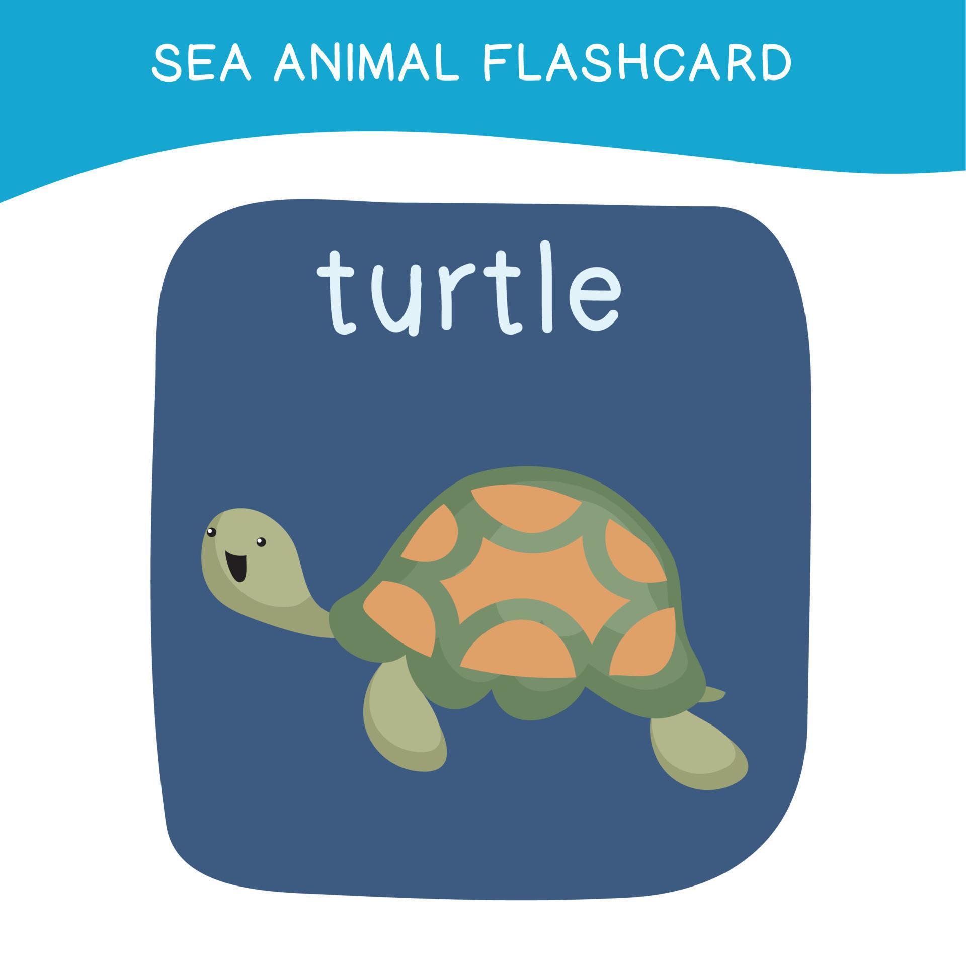 Cute sea animal flashcard for preschool children. English name with ...