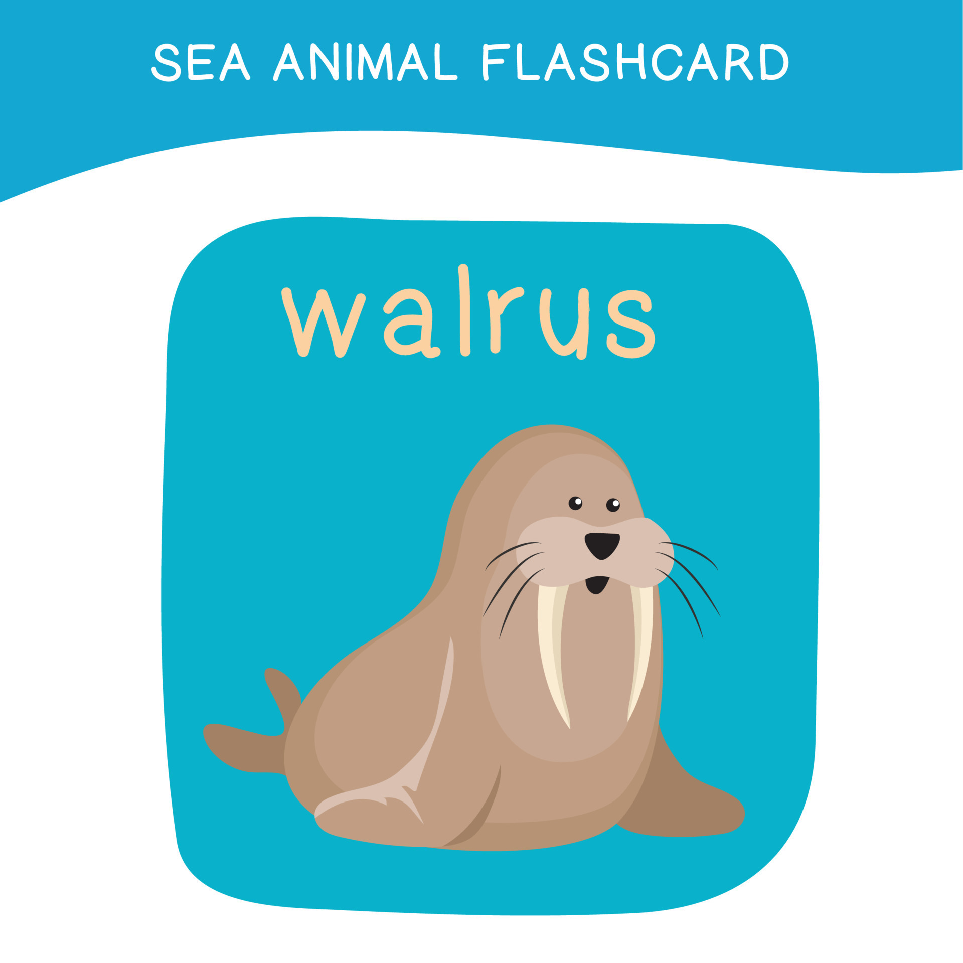 Cute sea animal flashcard for preschool children. English name with ...