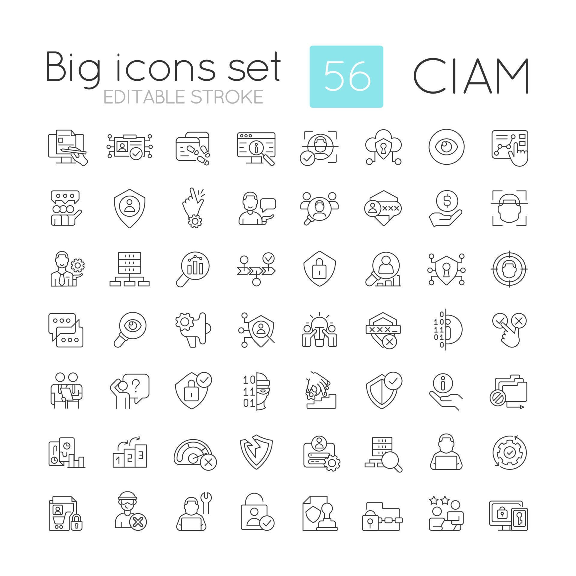 Consumer identity and access management linear icons set. Implementing CIAM. Customizable thin ...