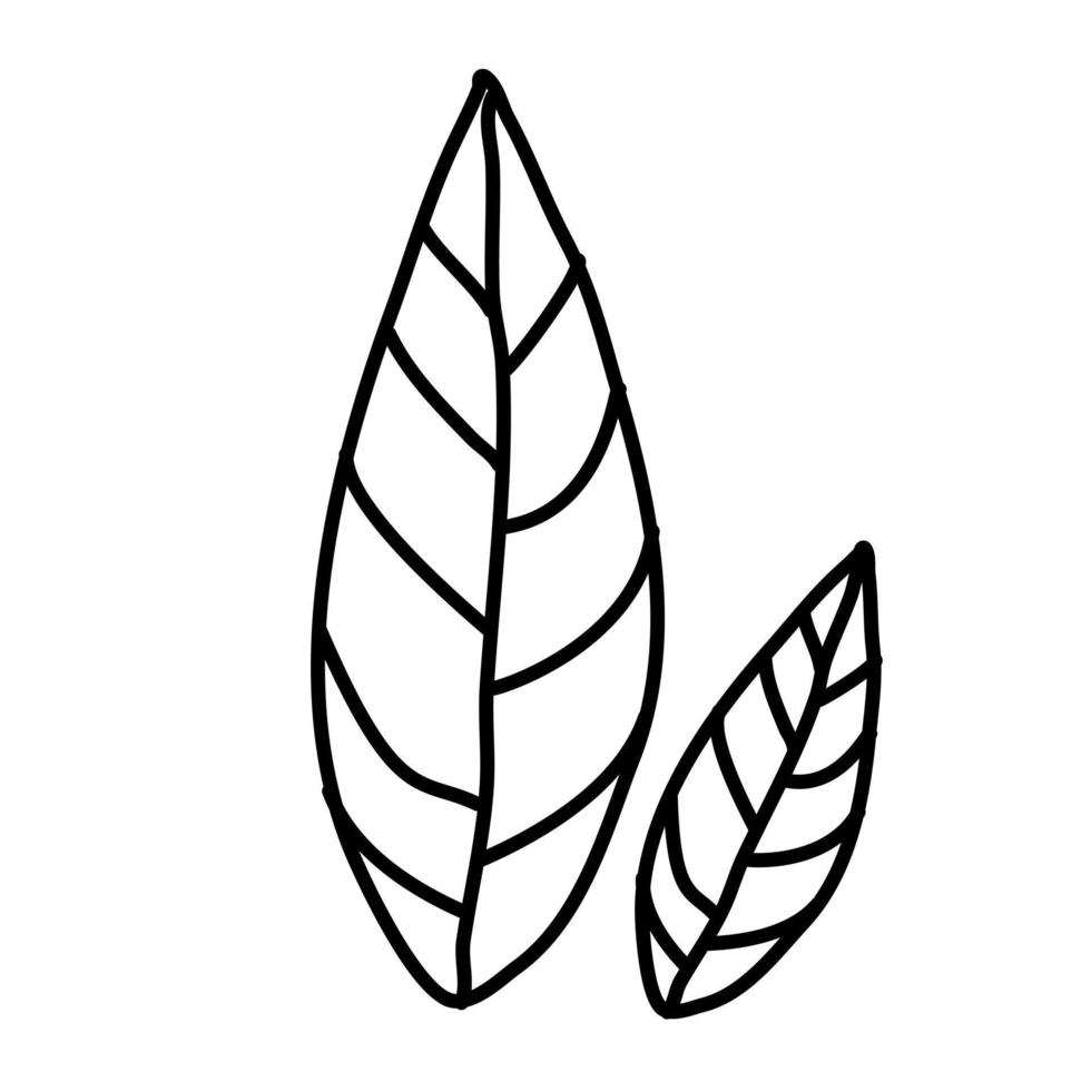 Aesthetic floral plant elements illustration 23118480 Vector Art at ...