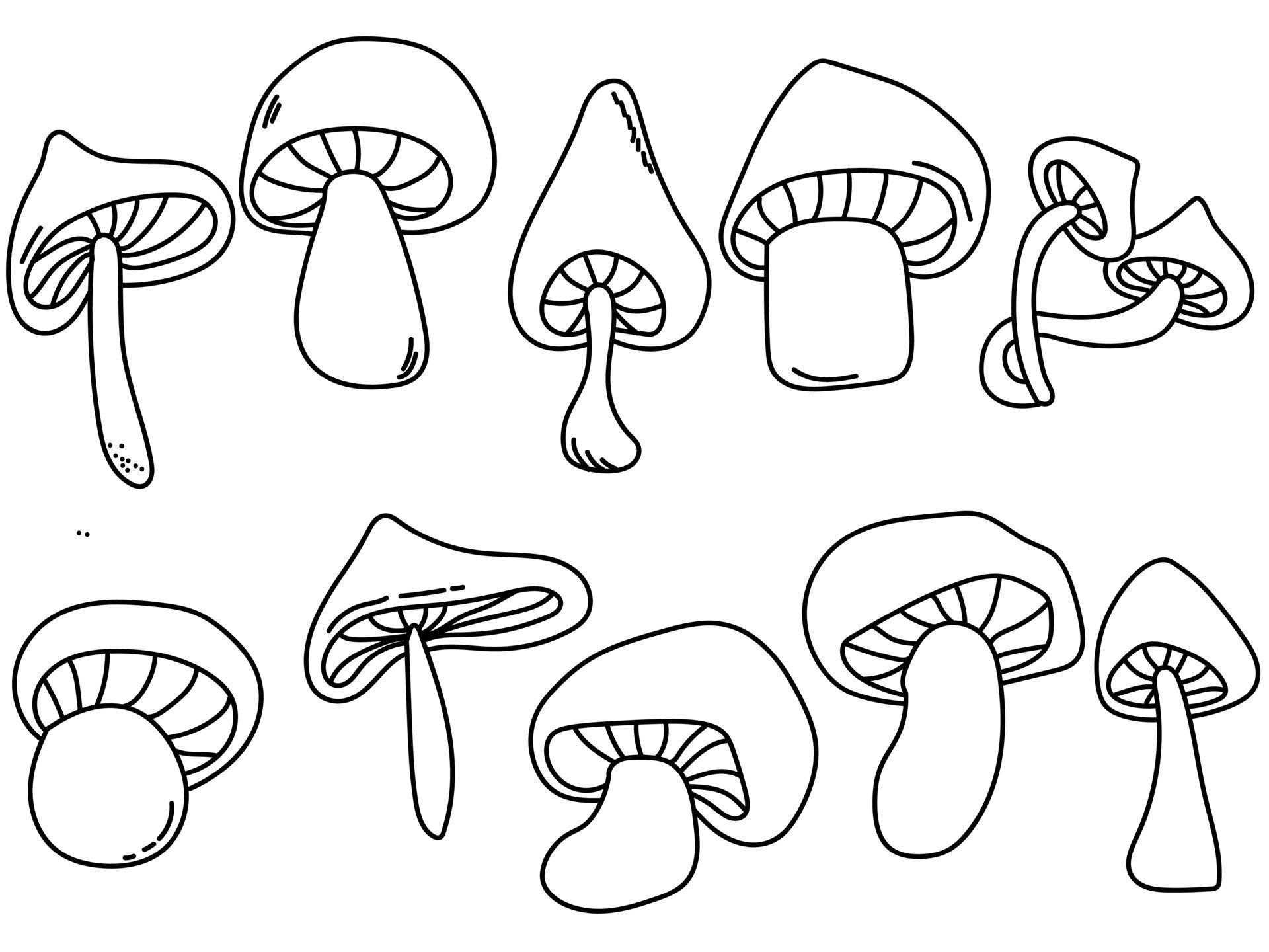 Outline mushrooms set, contour cap mushroom of various shapes and sizes ...