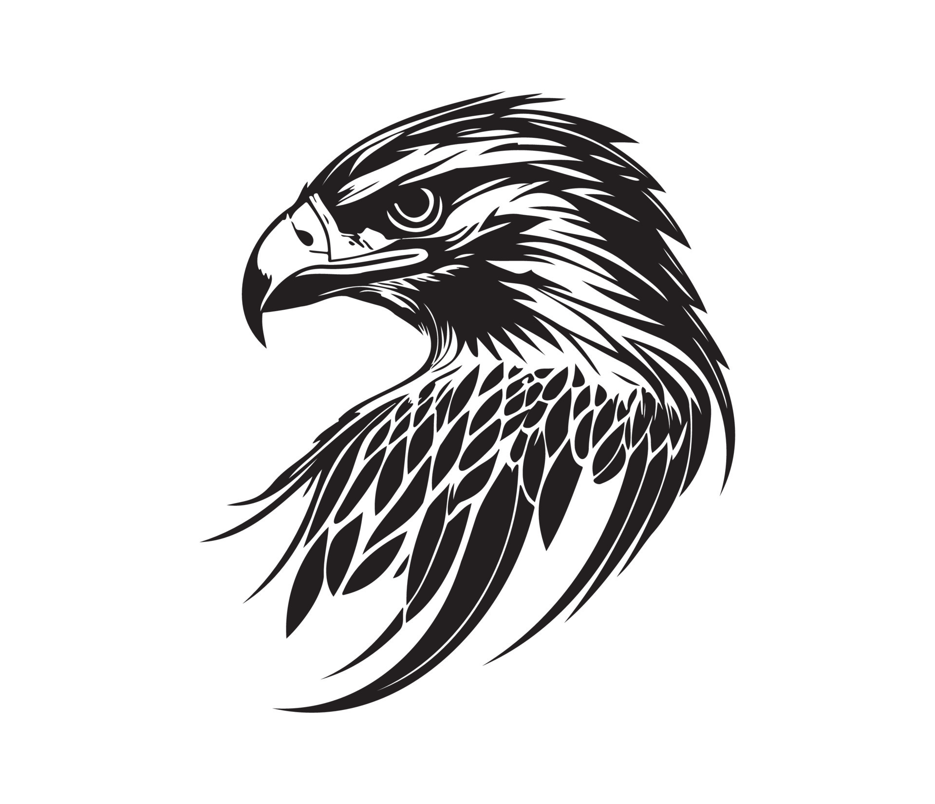 Hawk Face Silhouettes Hawk Face Black And White Hawk Vector 23168082 Vector Art At Vecteezy
