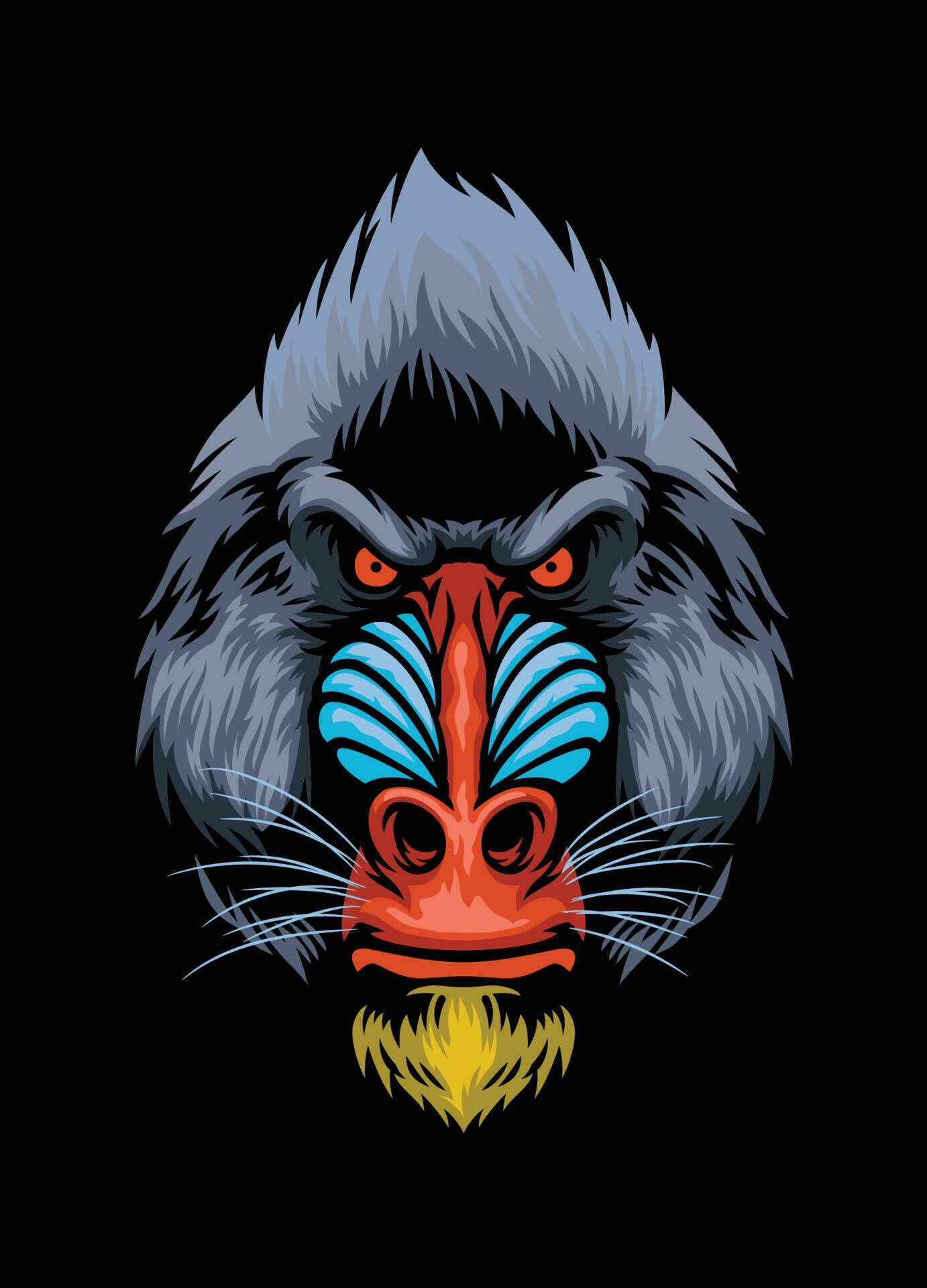 Hand Drawn style of Mandrill monkey head 23173165 Vector Art at Vecteezy