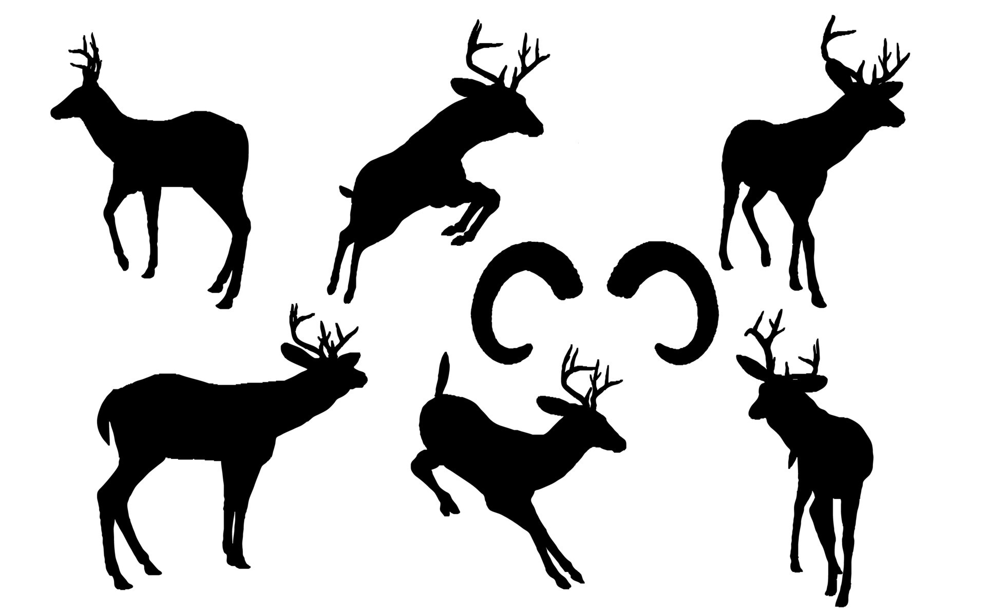 vector set of animal silhouettes deers 23216638 Vector Art at Vecteezy