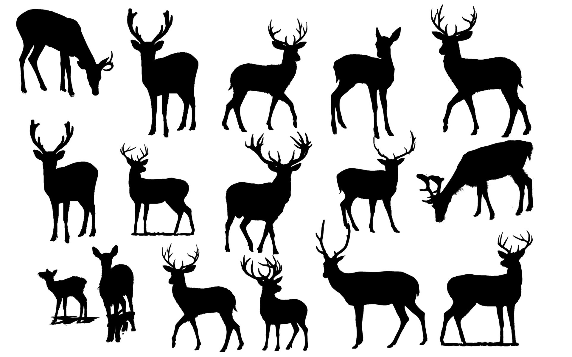 vector set of animal silhouettes deers 23216640 Vector Art at Vecteezy
