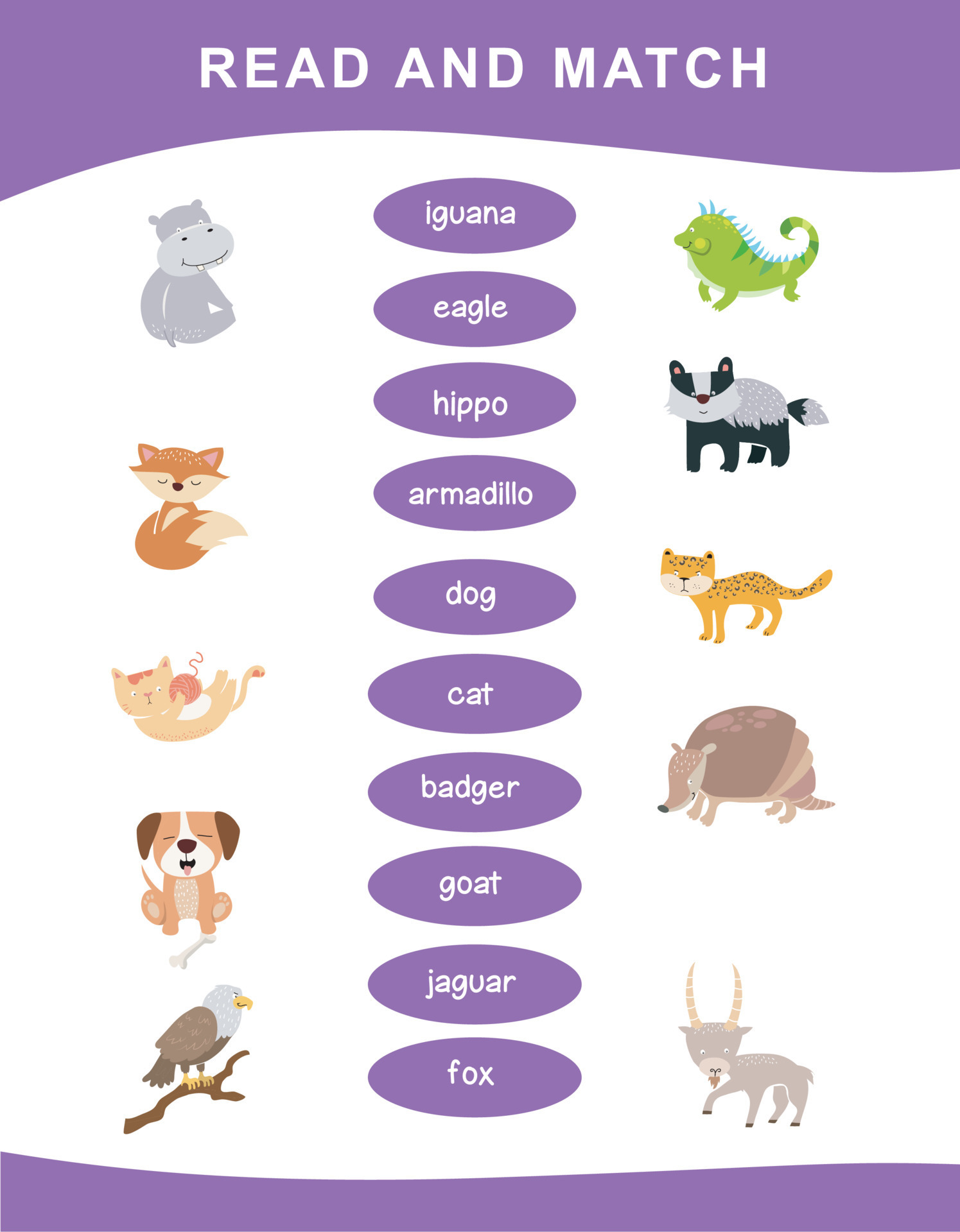 Funny Animal Pics With Words