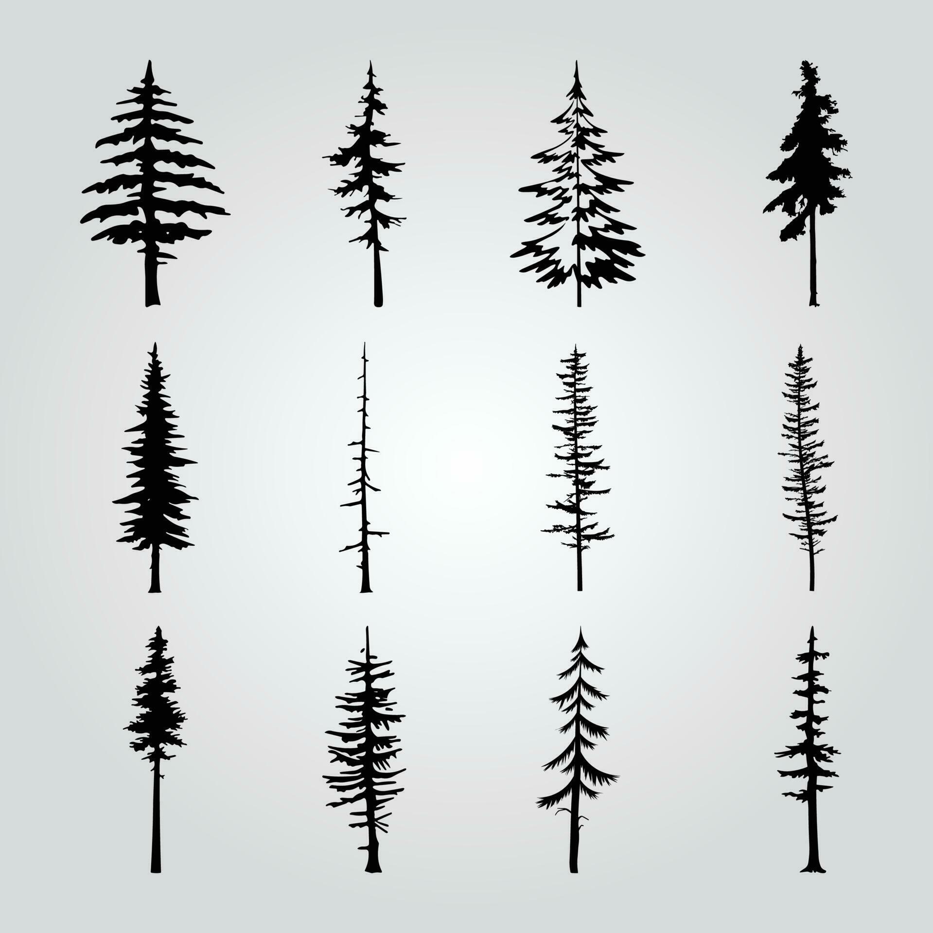 A collection of pine trees with different shapes and sizes. 23229237 ...