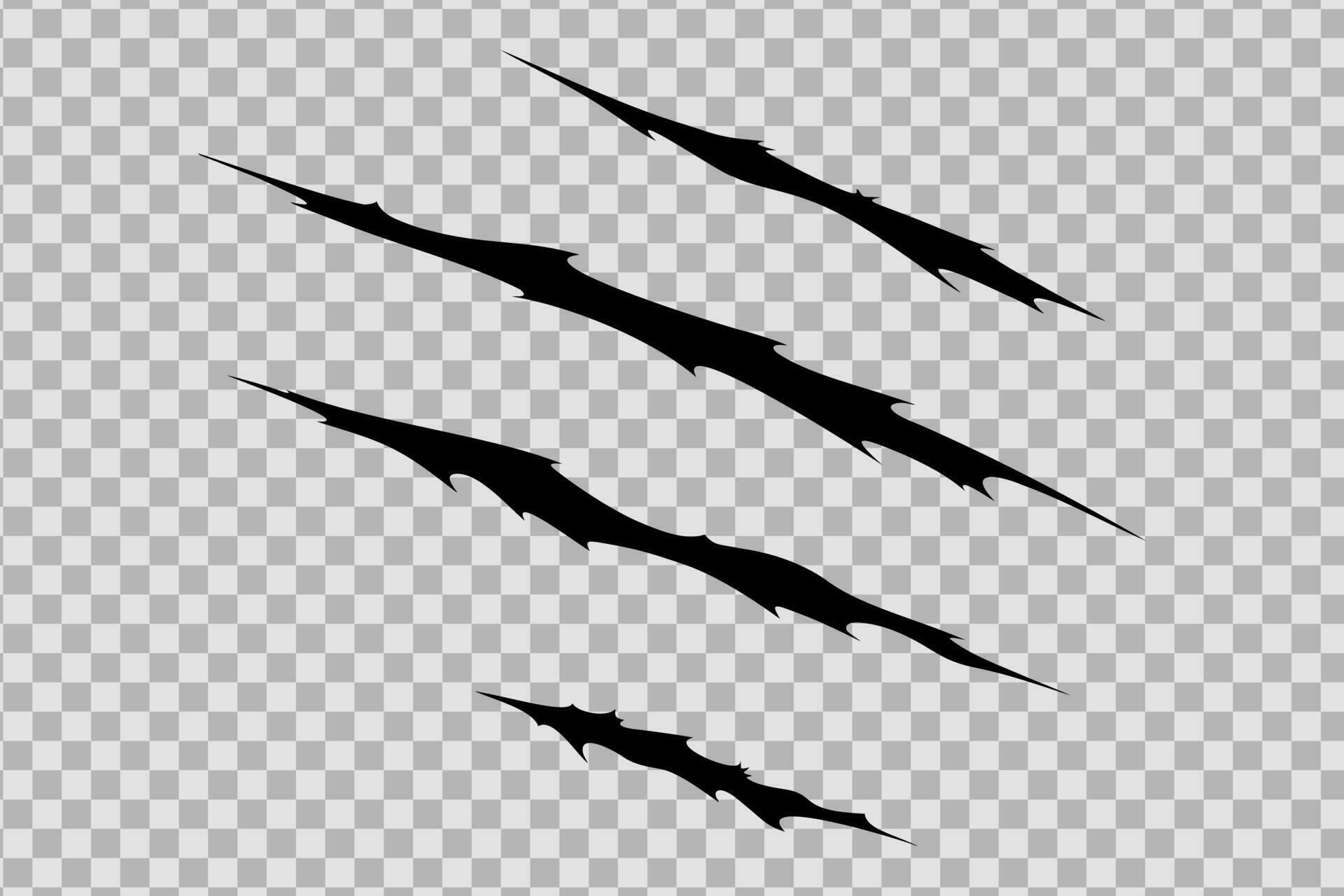 Claw scratches of wild animal. Cat scratches marks isolated. Vector ...