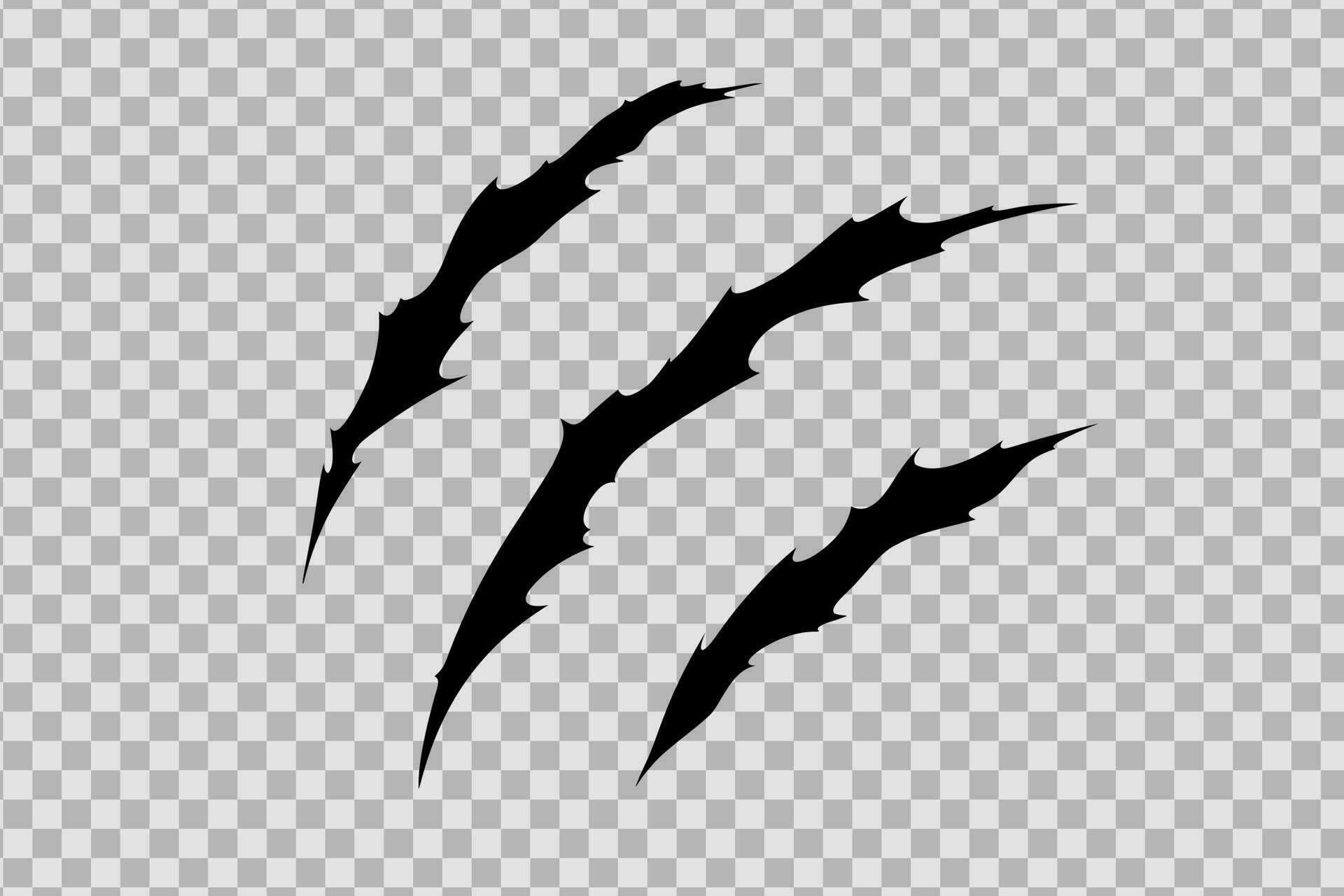 Claw scratches of wild animal. Cat scratches marks isolated. Vector ...