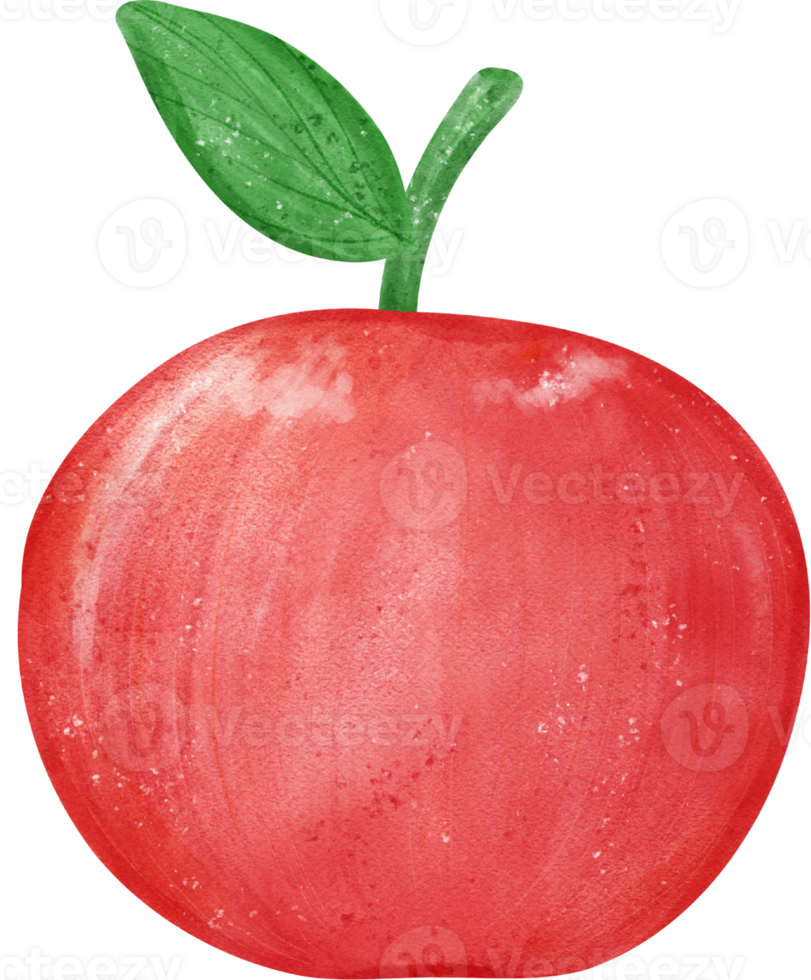 cute fresh whole red apple fruit watercolor 23251700 PNG