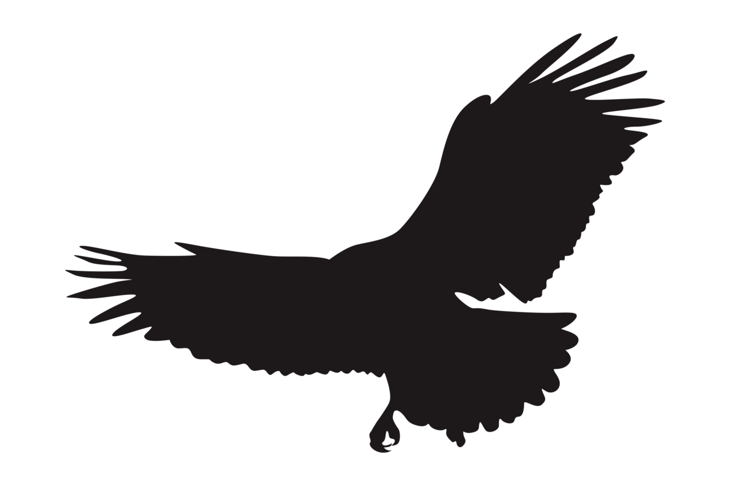 Eagle Silhouette Png Animal Perched Eagle Silhouette 23258099 PNG