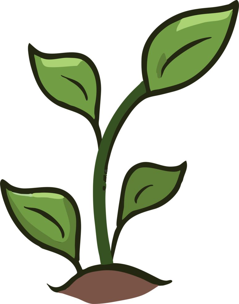 Sprout png graphic clipart design 23258397 PNG Sprout png graphic clipart design 23258397 PNG
