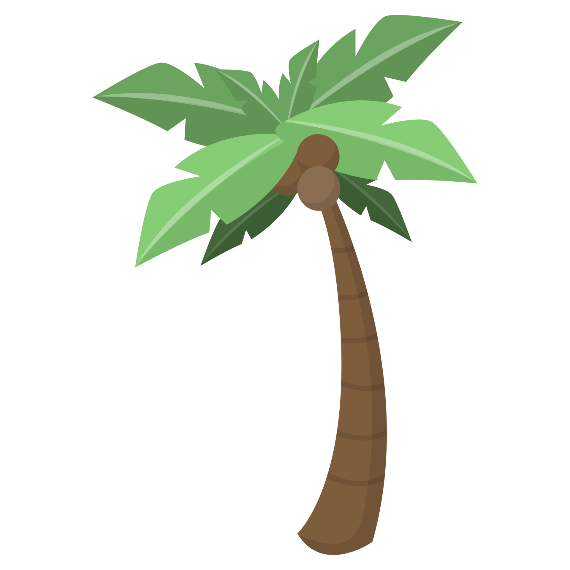 Coconut Tree PNG Illustrations 23271177 PNG