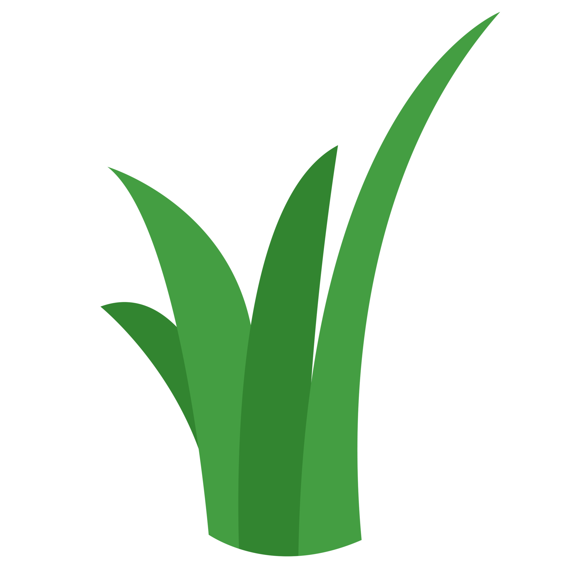 Grass Png Illustrations 23271190 Png