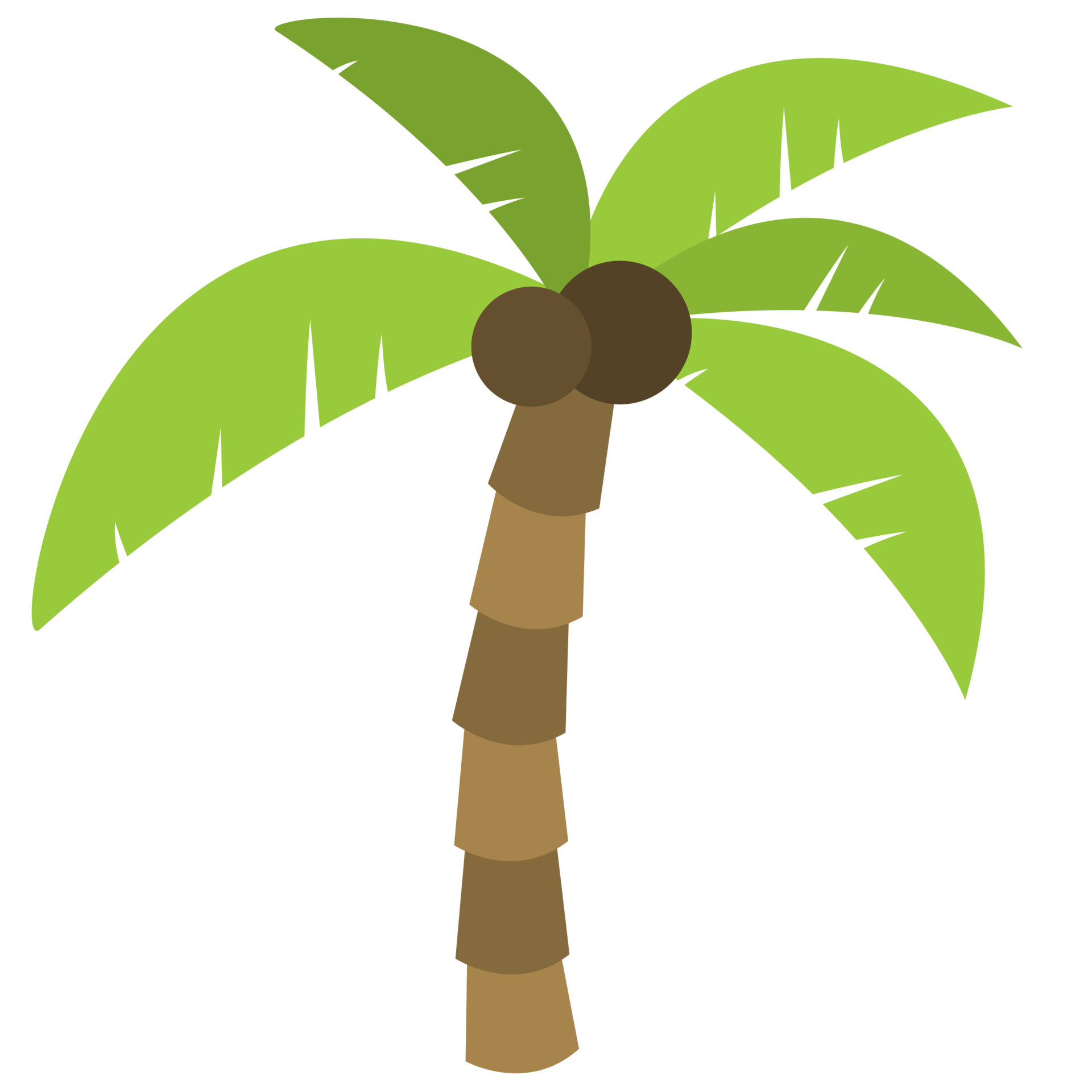 Coconut Tree PNG Illustrations 23271289 PNG