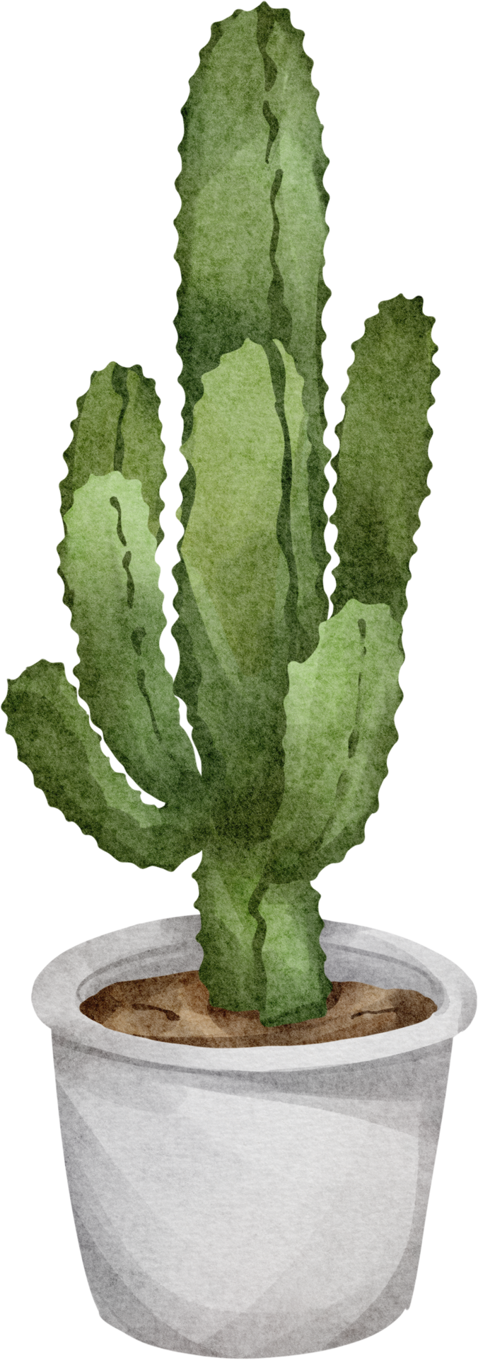 watercolor house plant 23296544 PNG