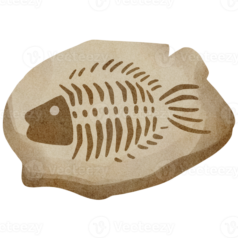 Fish Fossil Clip Art