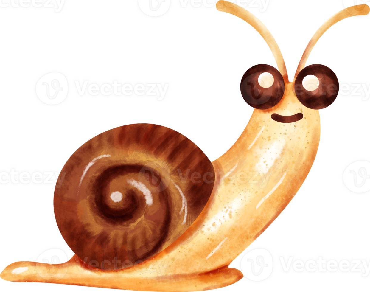 watercolor Snail clip art 23297244 PNG