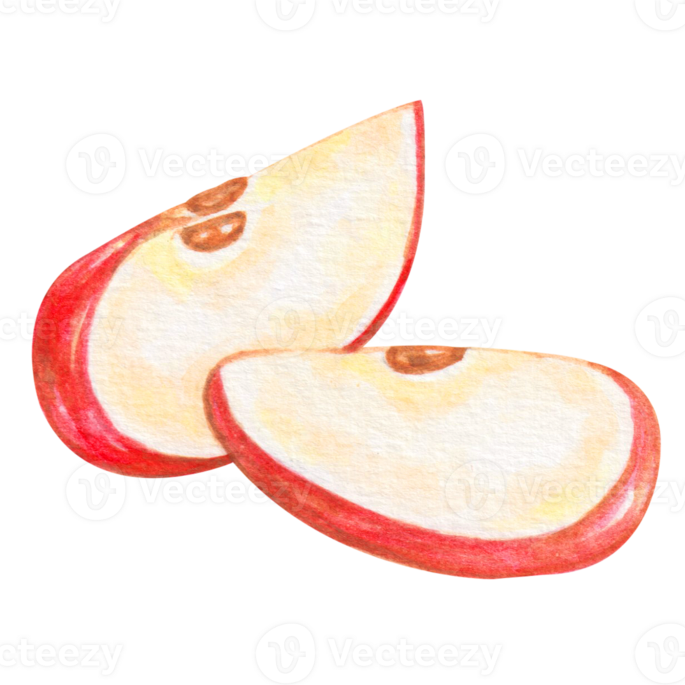 watercolor apple fruit 23322231 PNG