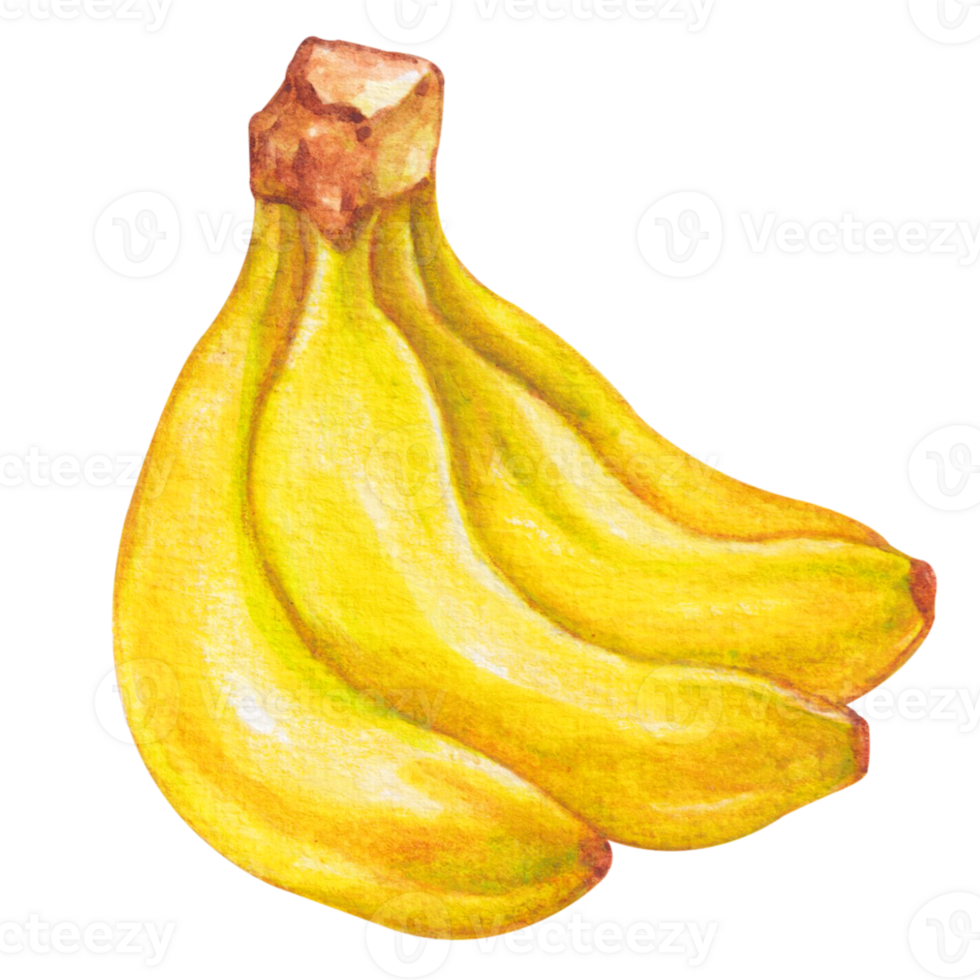 Watercolor Banana Fruit 23322236 Png