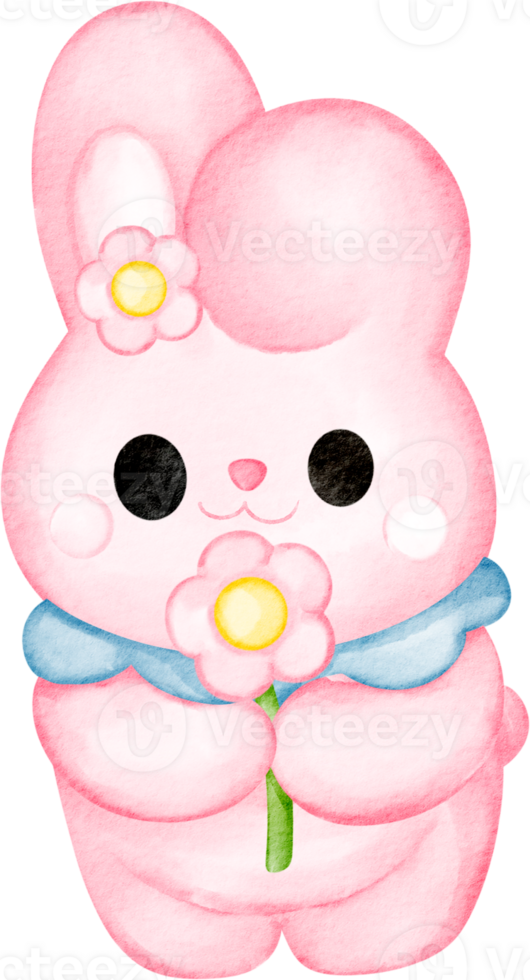 Rabbit Cartoon Clip Art 23322402 Png