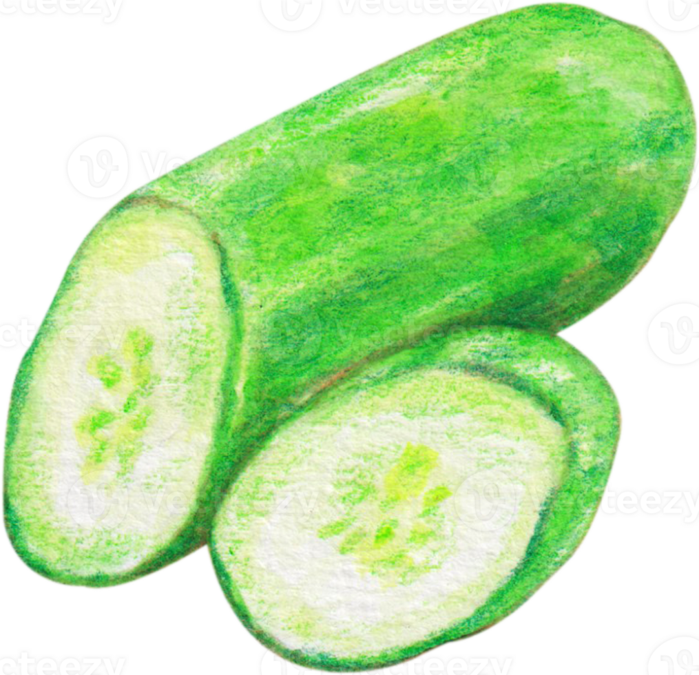 Watercolor Cucumber Vegetable 23322637 Png