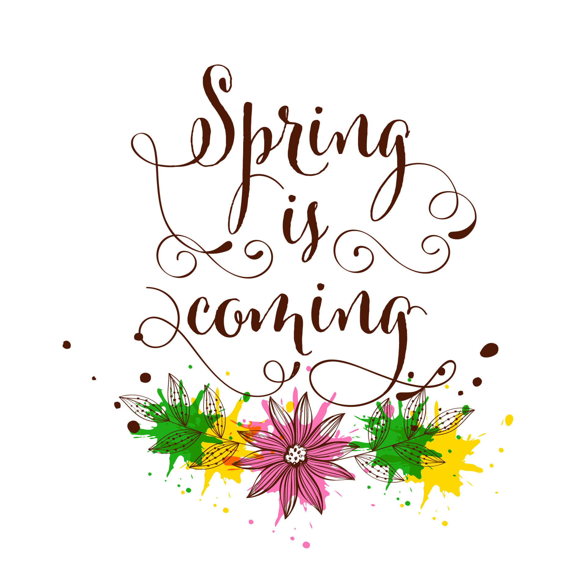 Spring Is Coming Calligraphy With Splash Effect Floral On White ...