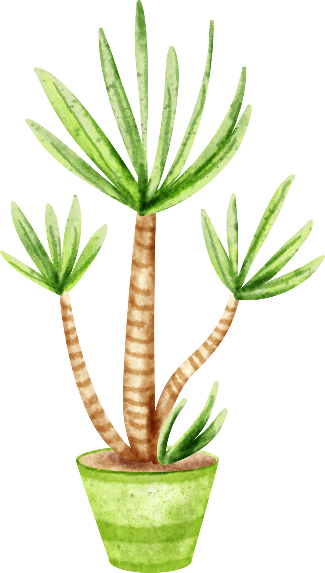 watercolor house plant 23323455 PNG